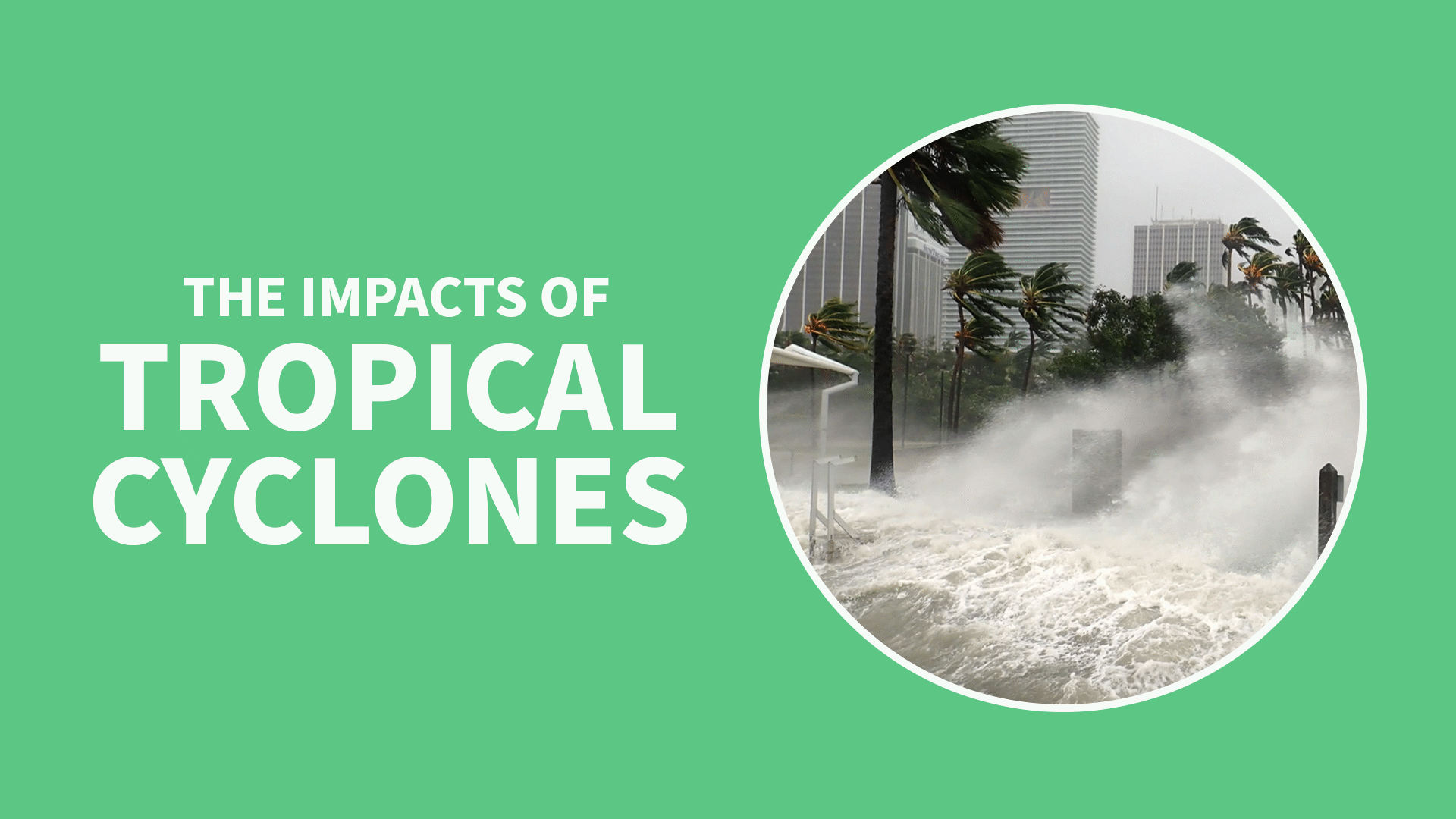 The Impacts of Tropical Cyclones | ClickView