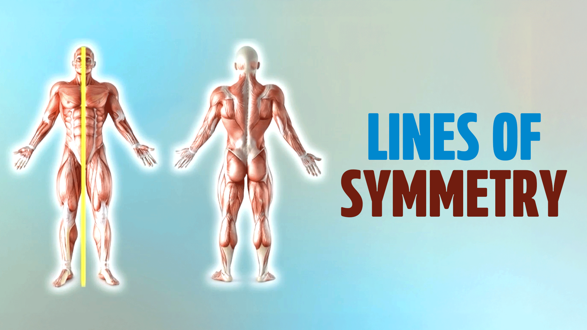 Symmetry Video & Resources | ClickView