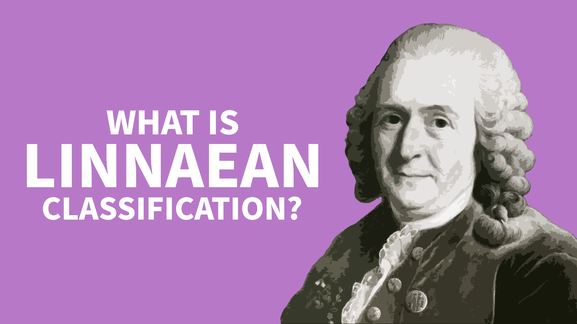 Linnaean Classification Video & Resources | ClickView