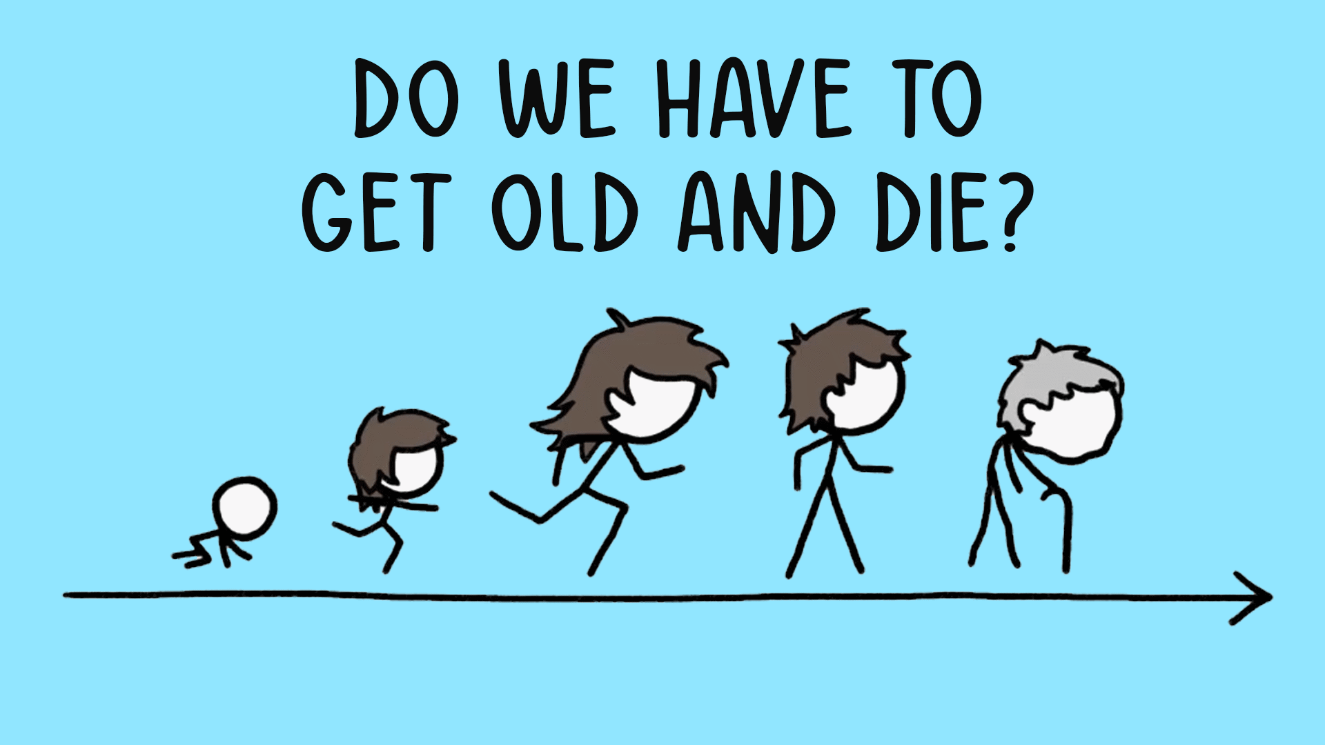 Homeostasis Videos, Resources & Worksheets | ClickView