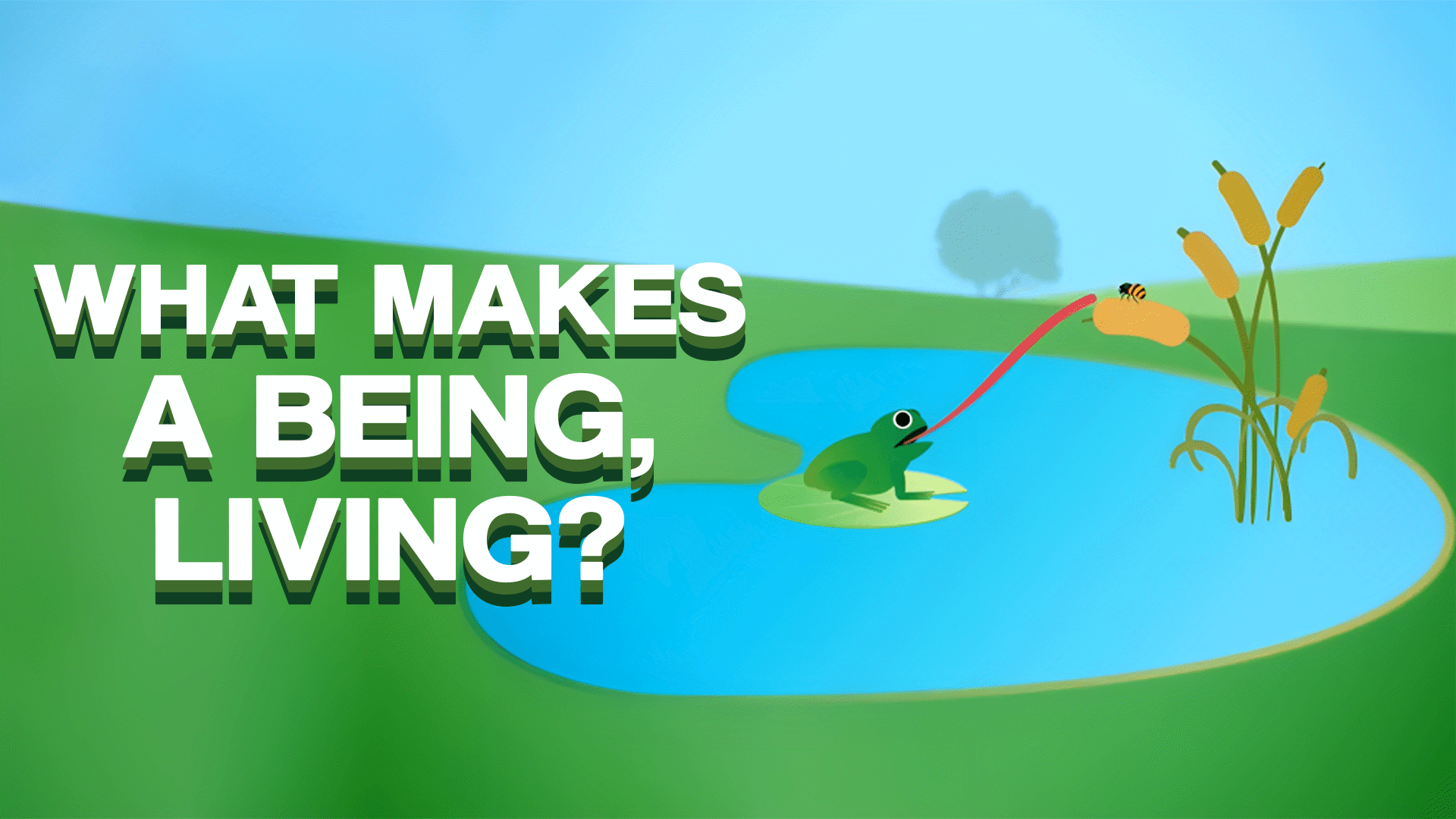 Living Beings Video & Resources | ClickView