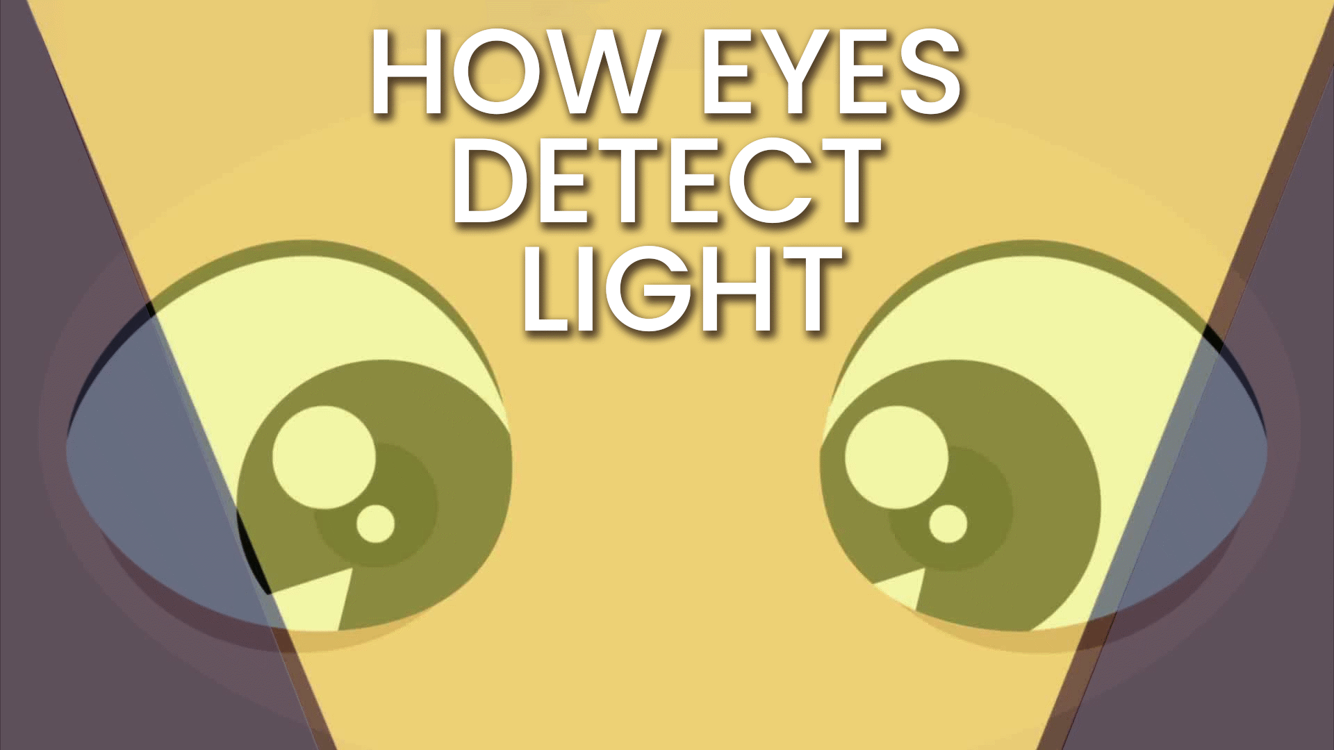 How Does the Eye Detect Light? Video & Resources | ClickView