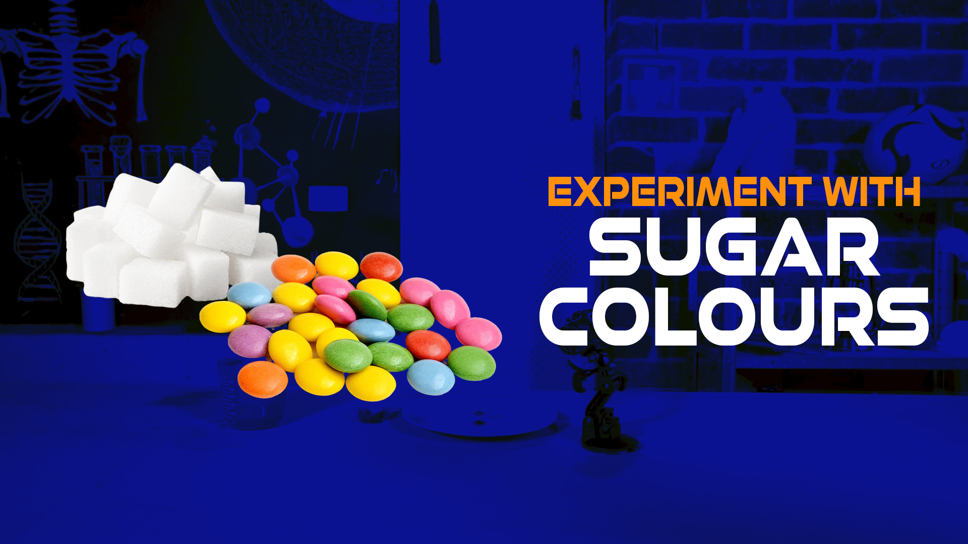 Sugar Colour Run Video & Resources | ClickView