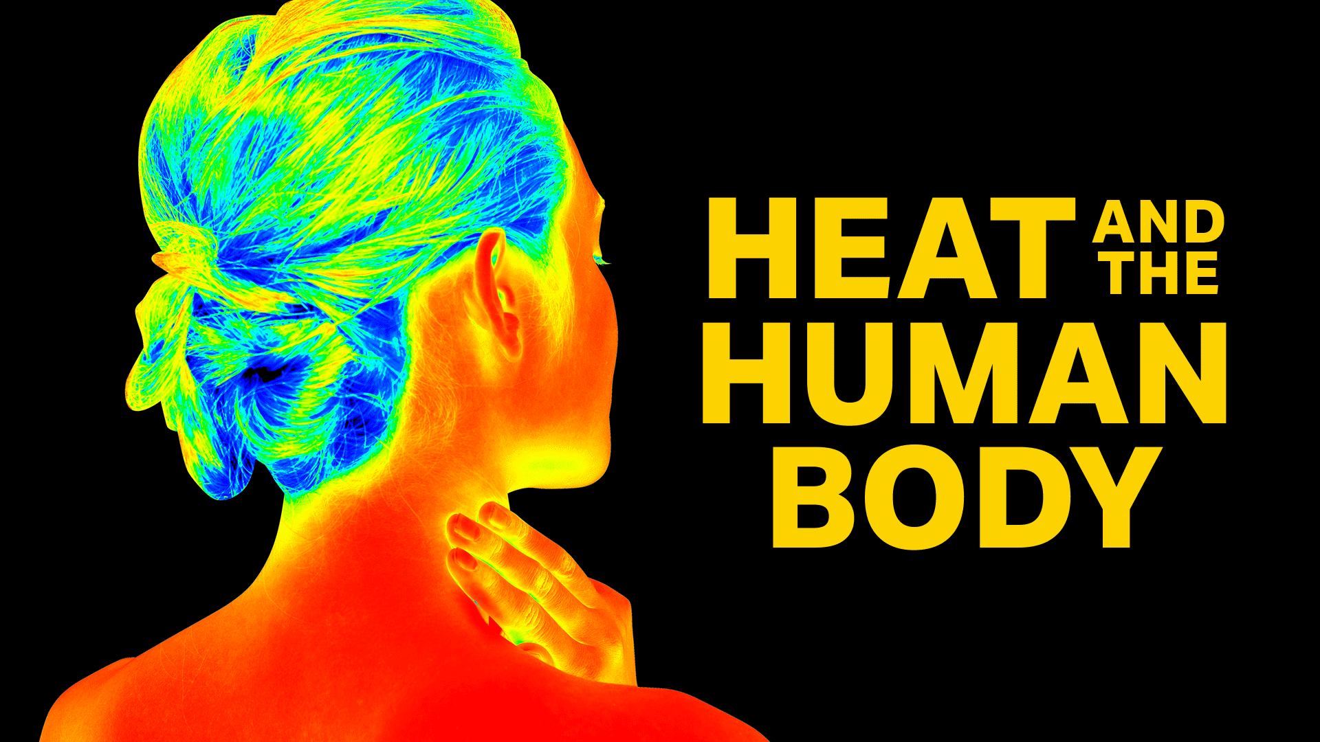 Heat and the Human Body - ClickView