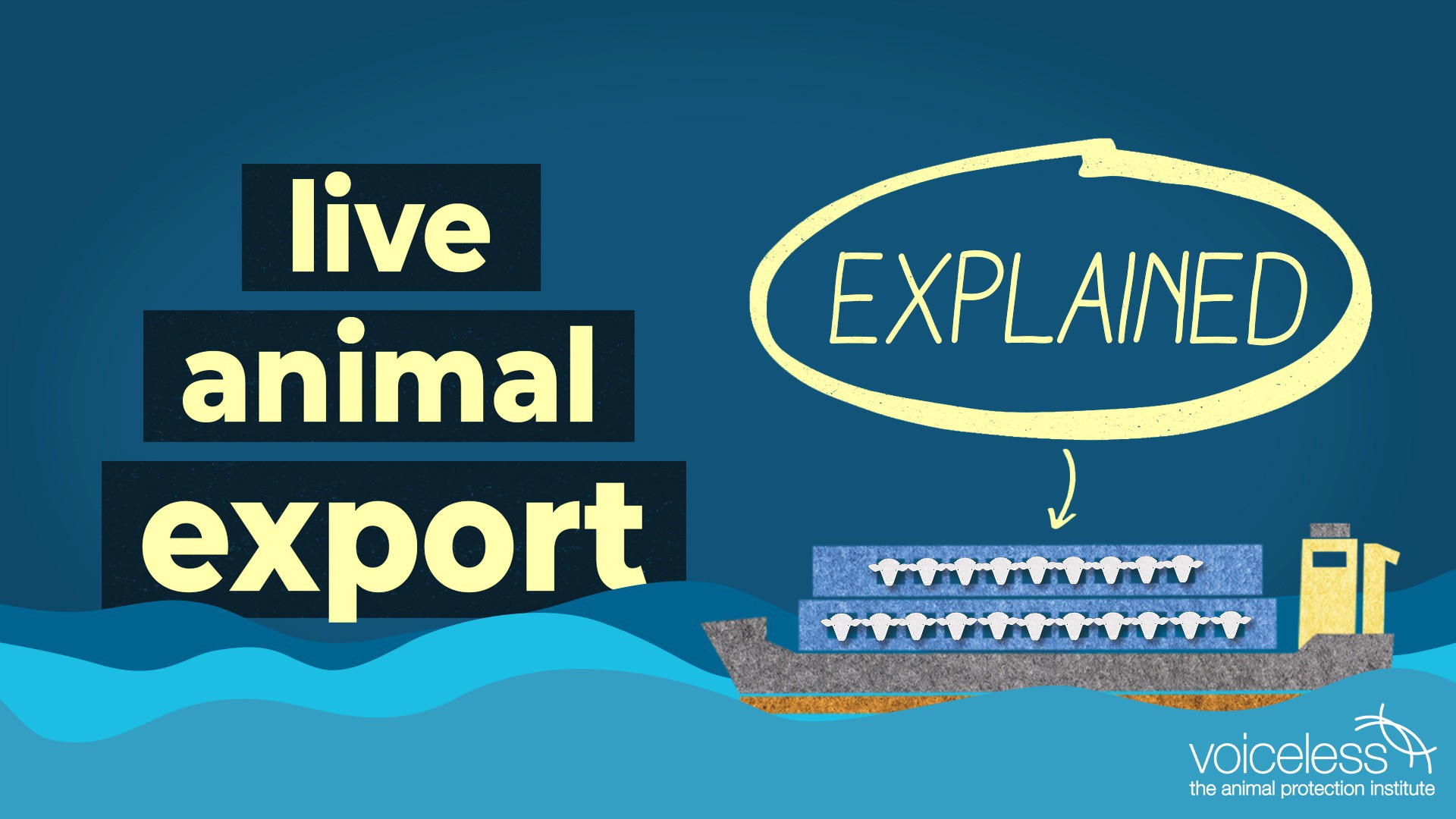 Live Animal Export Explained Video & Resources | ClickView