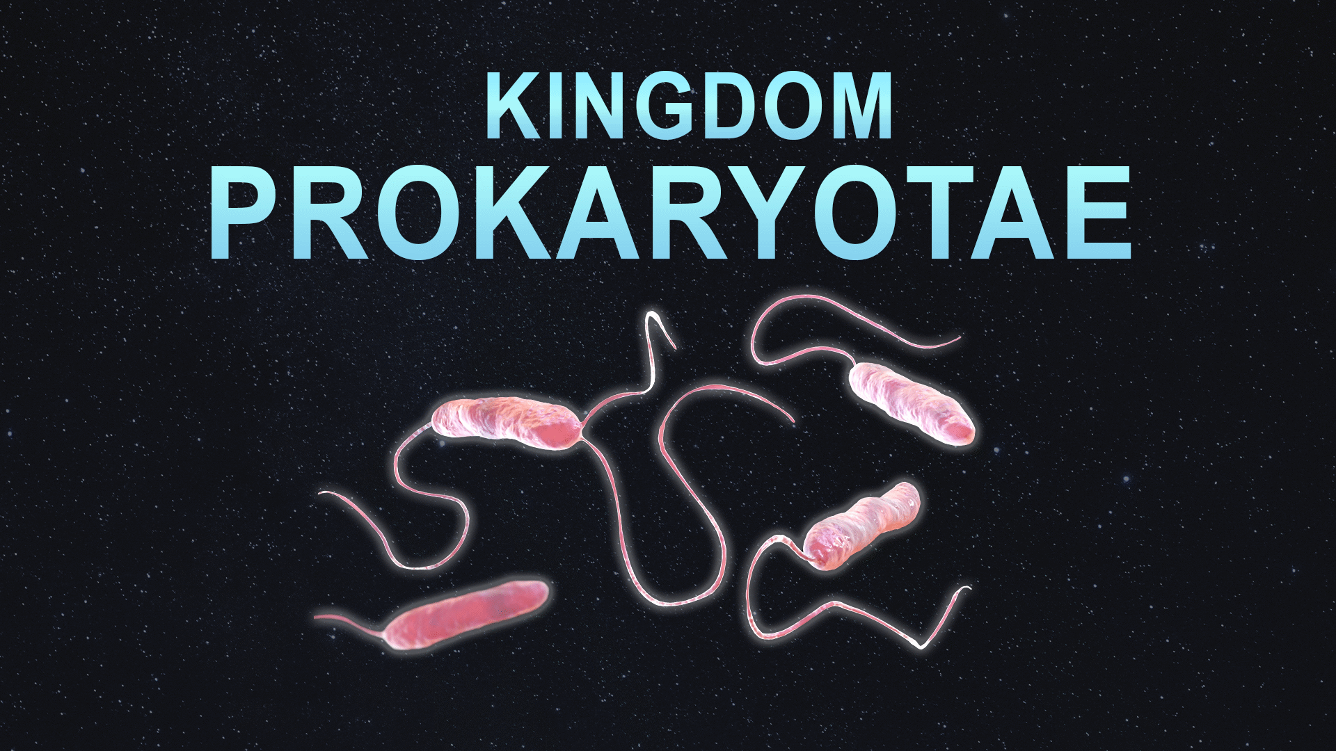 Classifying Living Things Videos & Resources | ClickView