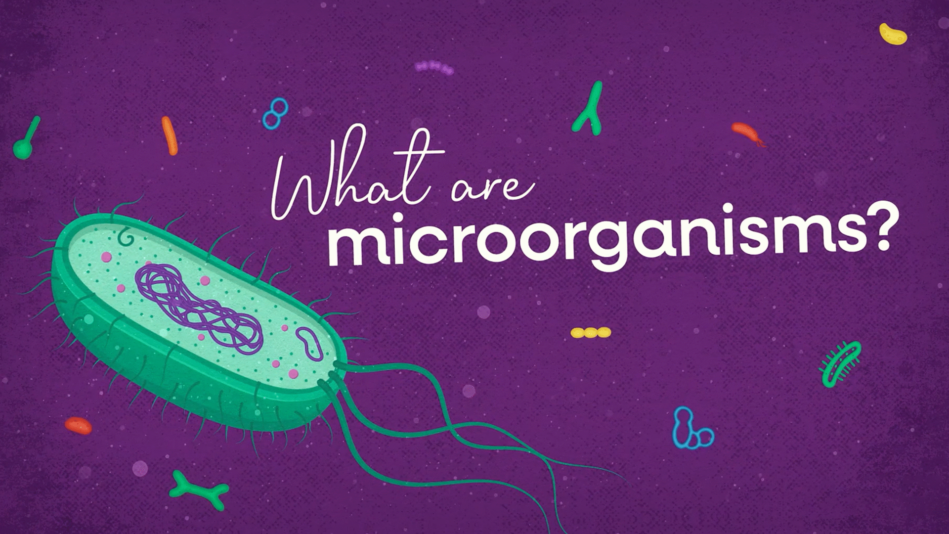 What Are Microorganisms? Video & Resources | ClickView