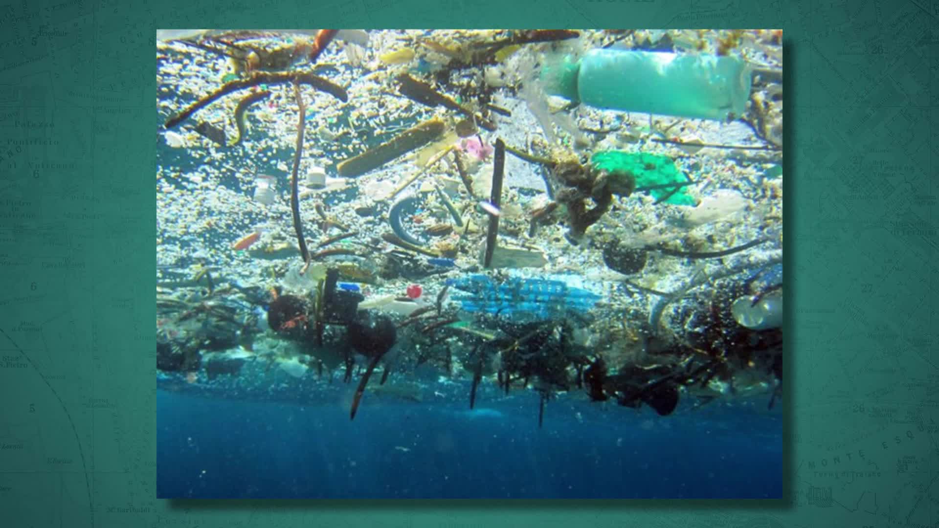 Secondary Videos, Resources & Worksheets | ClickView