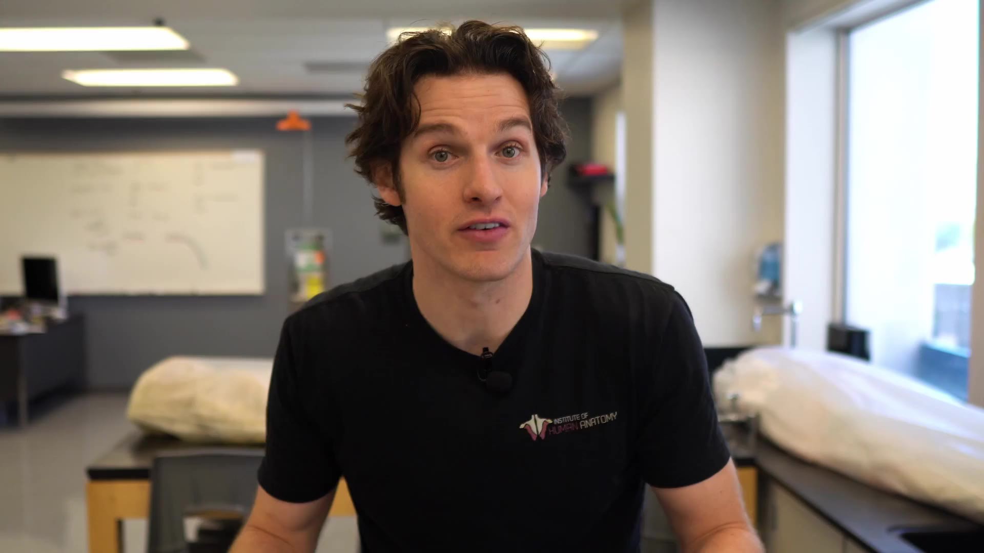 How Skin Color Works Video & Resources | ClickView