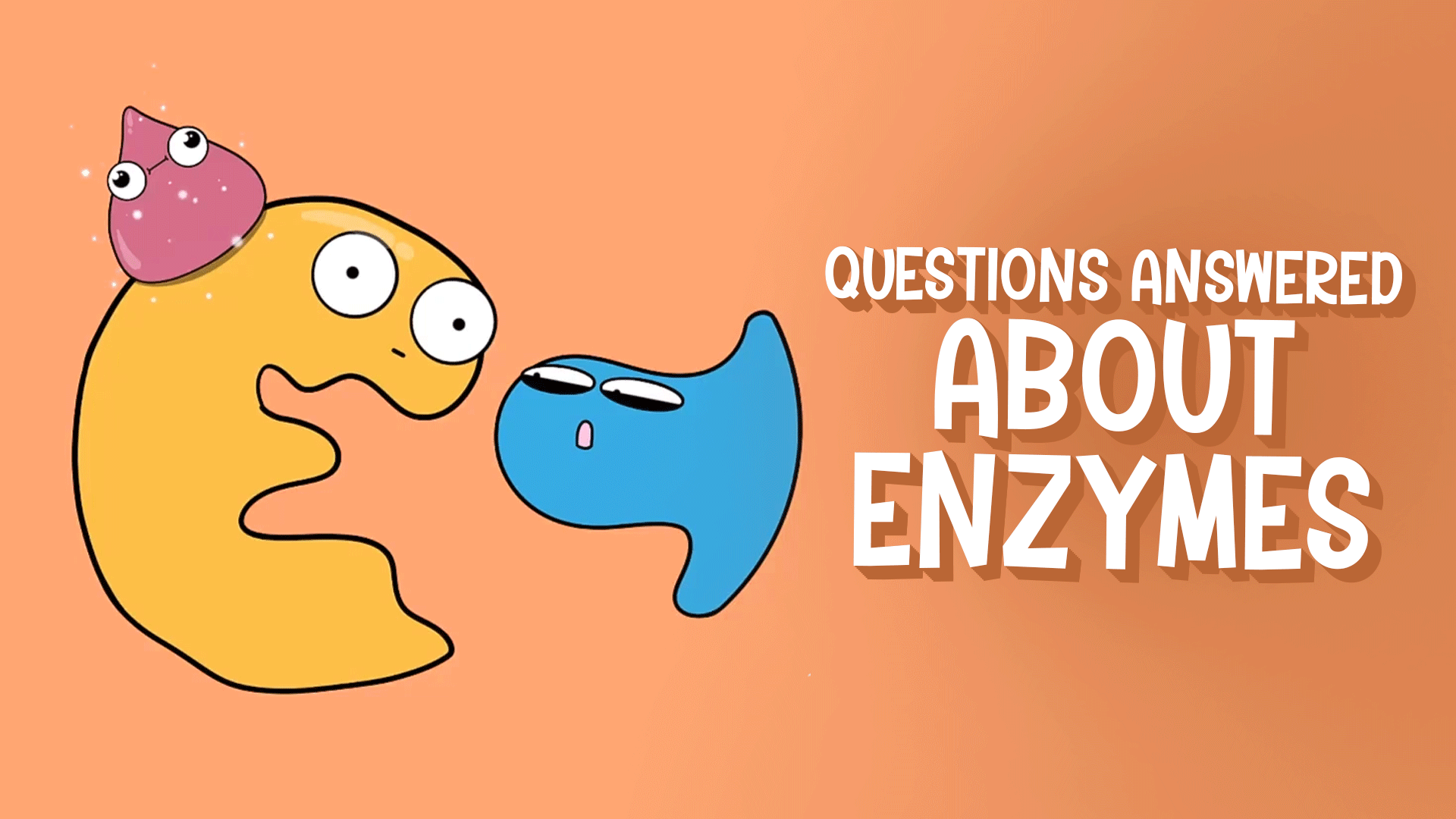 New from Amoeba Sisters Videos, Quizzes & Clips | ClickView