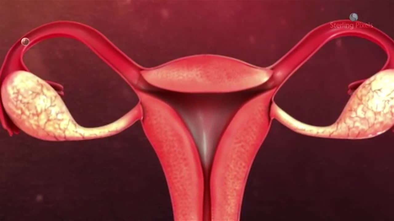 Discover New Secondary Videos & Resources | ClickView