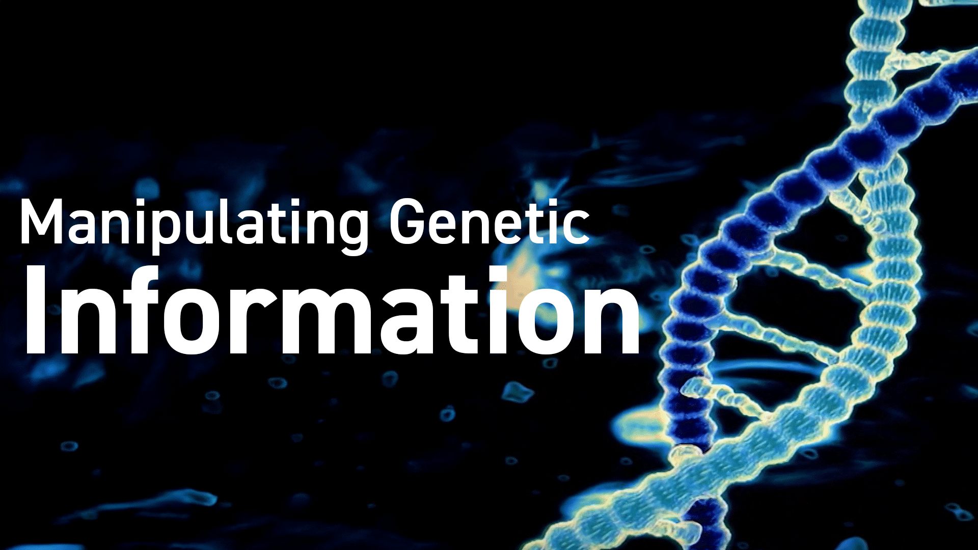 Genetic Modification Video & Resources | ClickView
