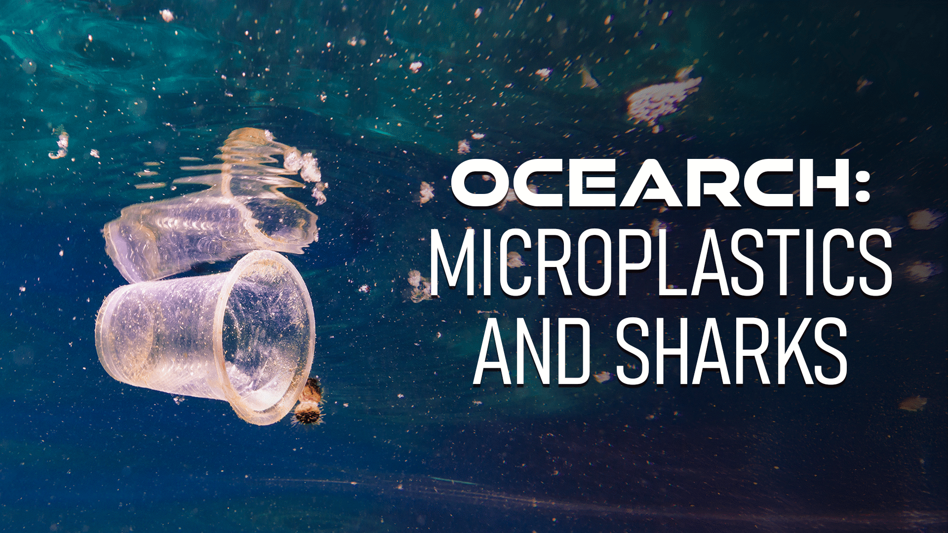 What Are Microplastics? Video & Resources | ClickView