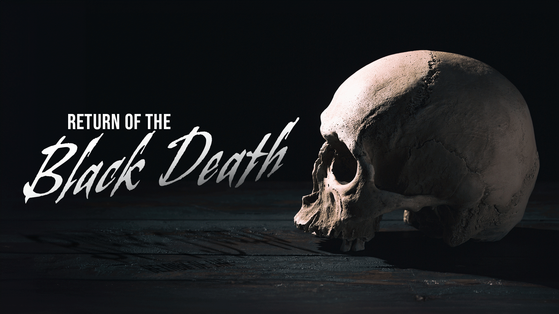The Black Death Videos, Resources & Worksheets | ClickView