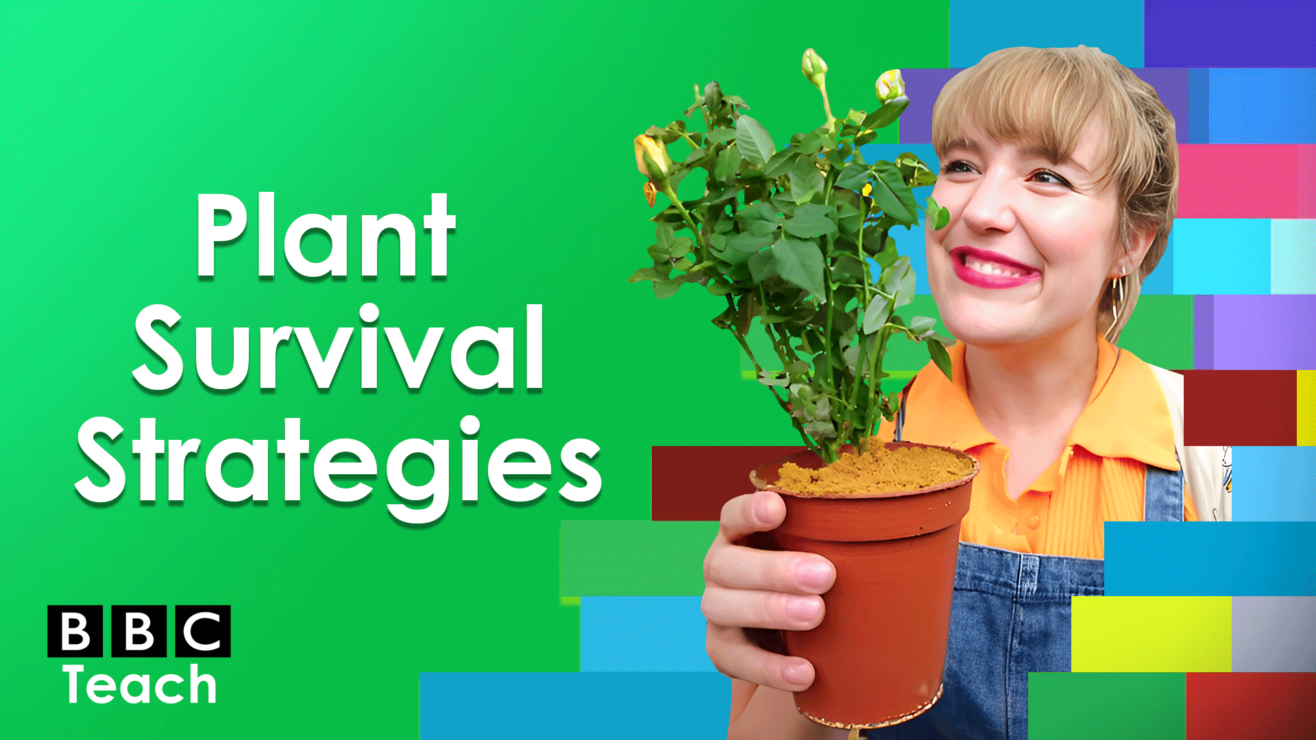 What Do Plants Need to Survive? Video & Resources | ClickView