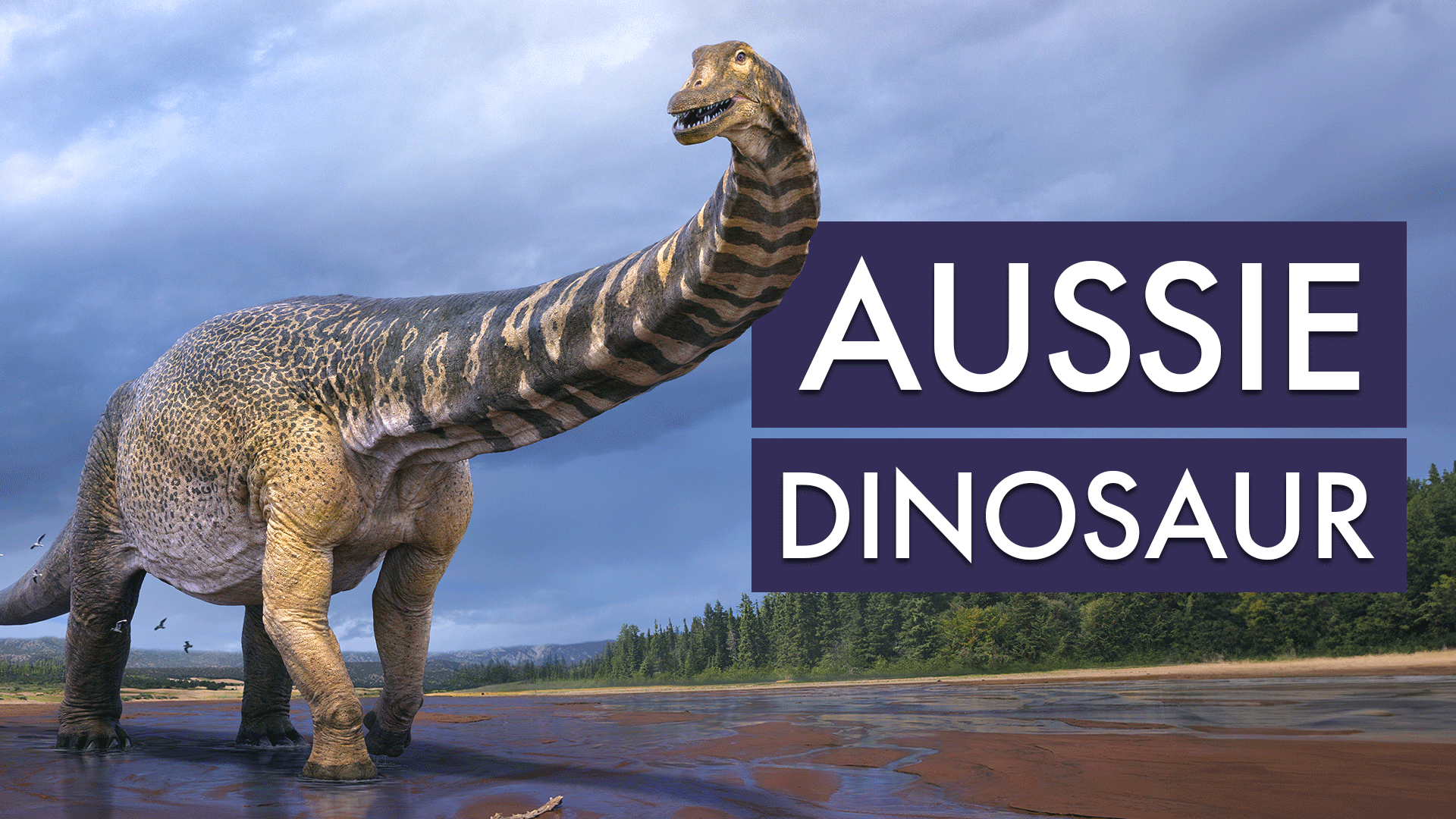 Giant Aussie Dinosaur Video & Resources | ClickView