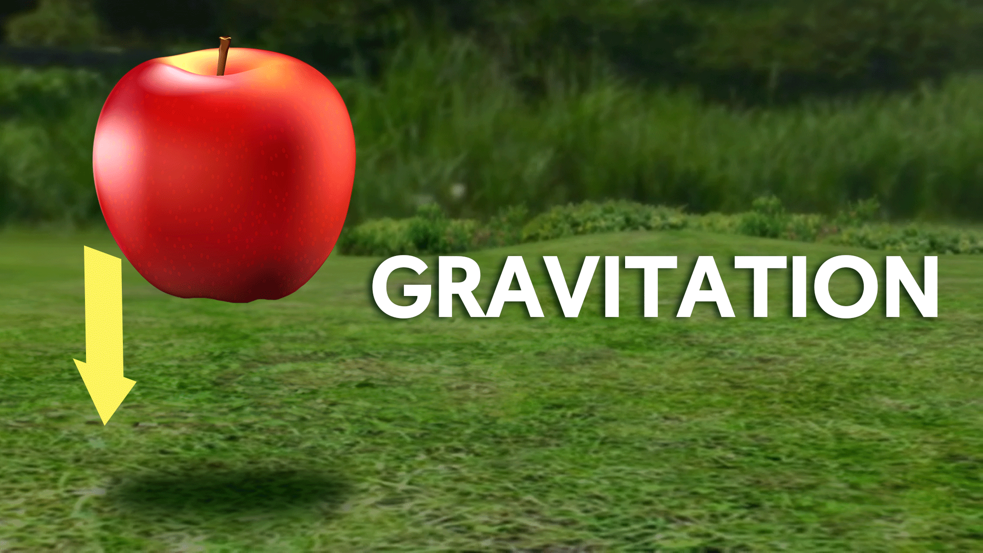 Gravitation Videos & Resources | ClickView