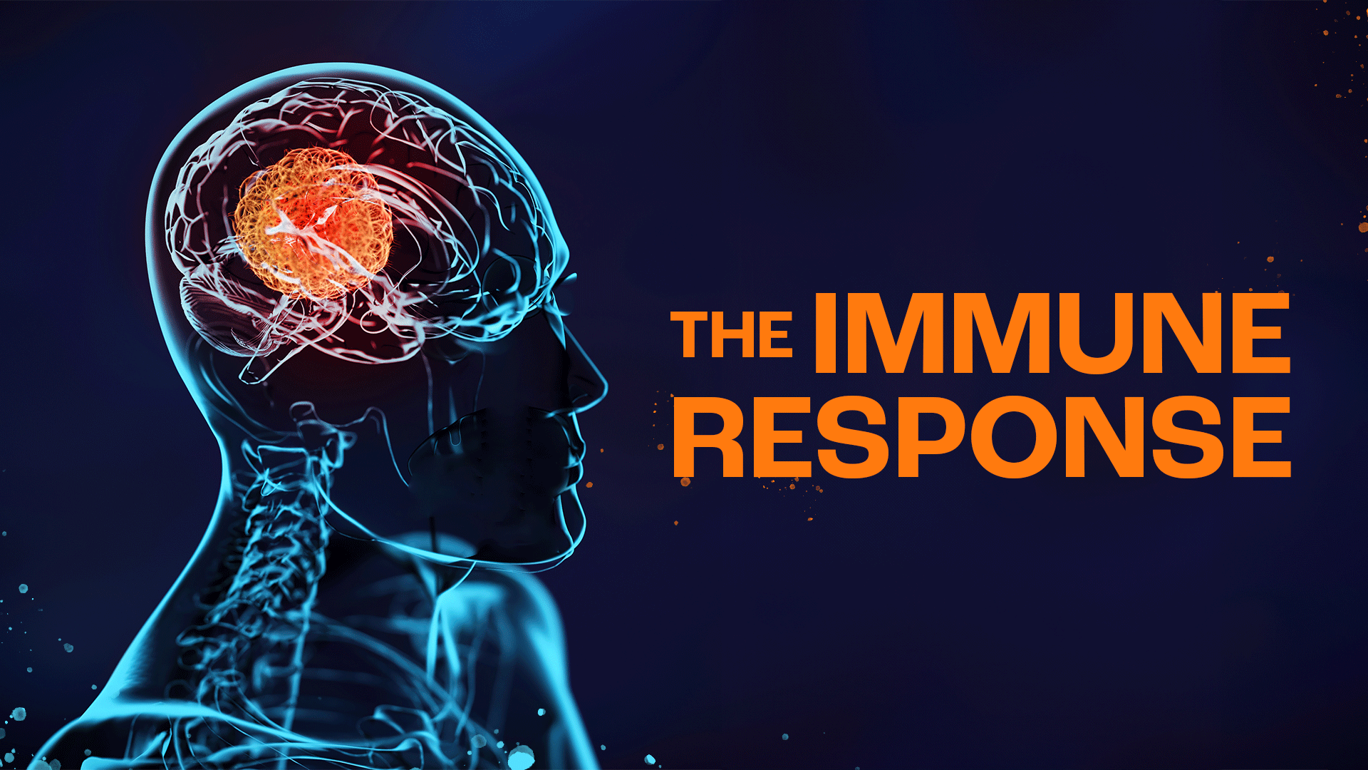 The Immune Response Video & Resources | ClickView