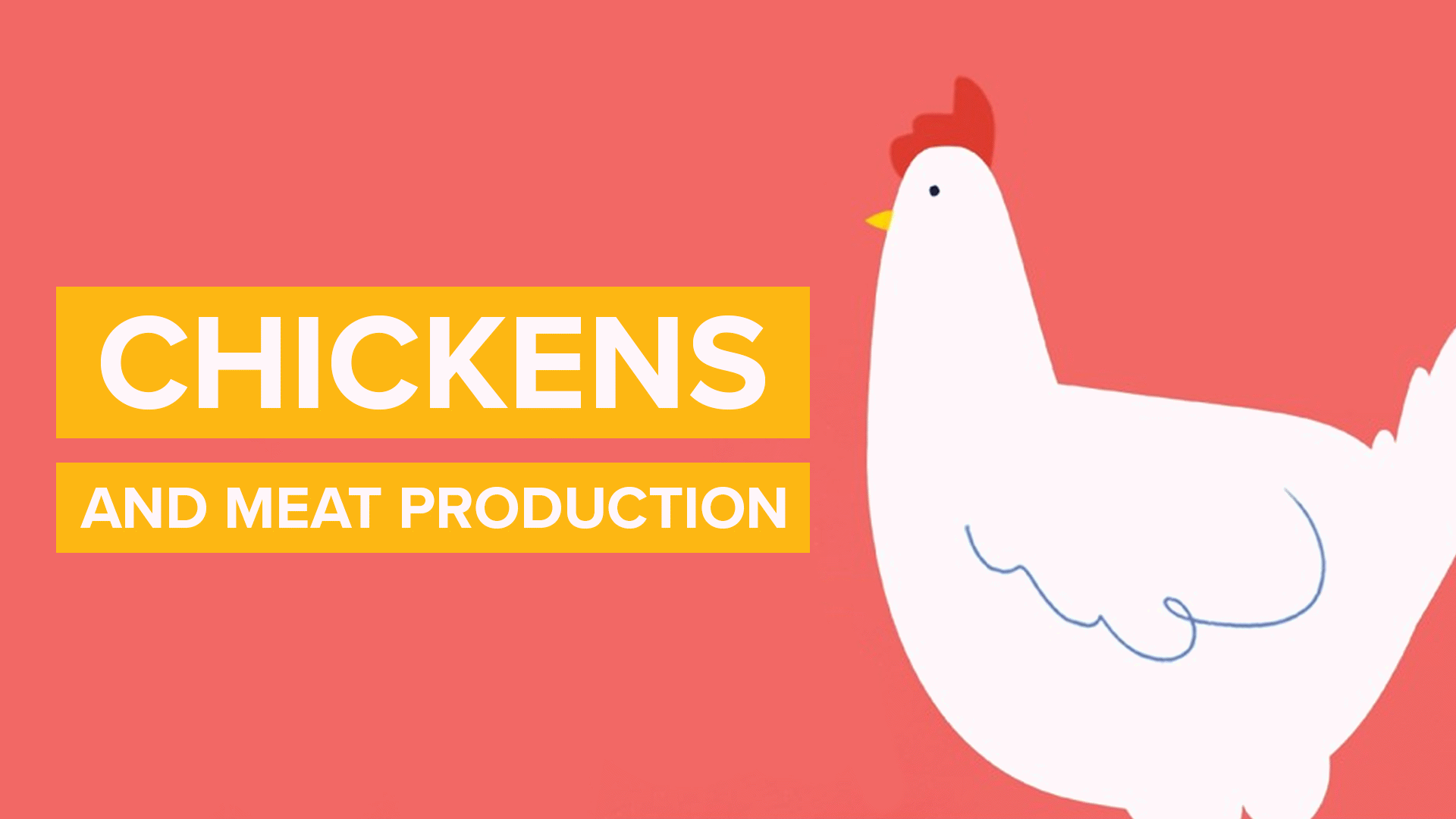 How Are Chickens Raised for Meat in Australia? Chicken Welfare in the ...