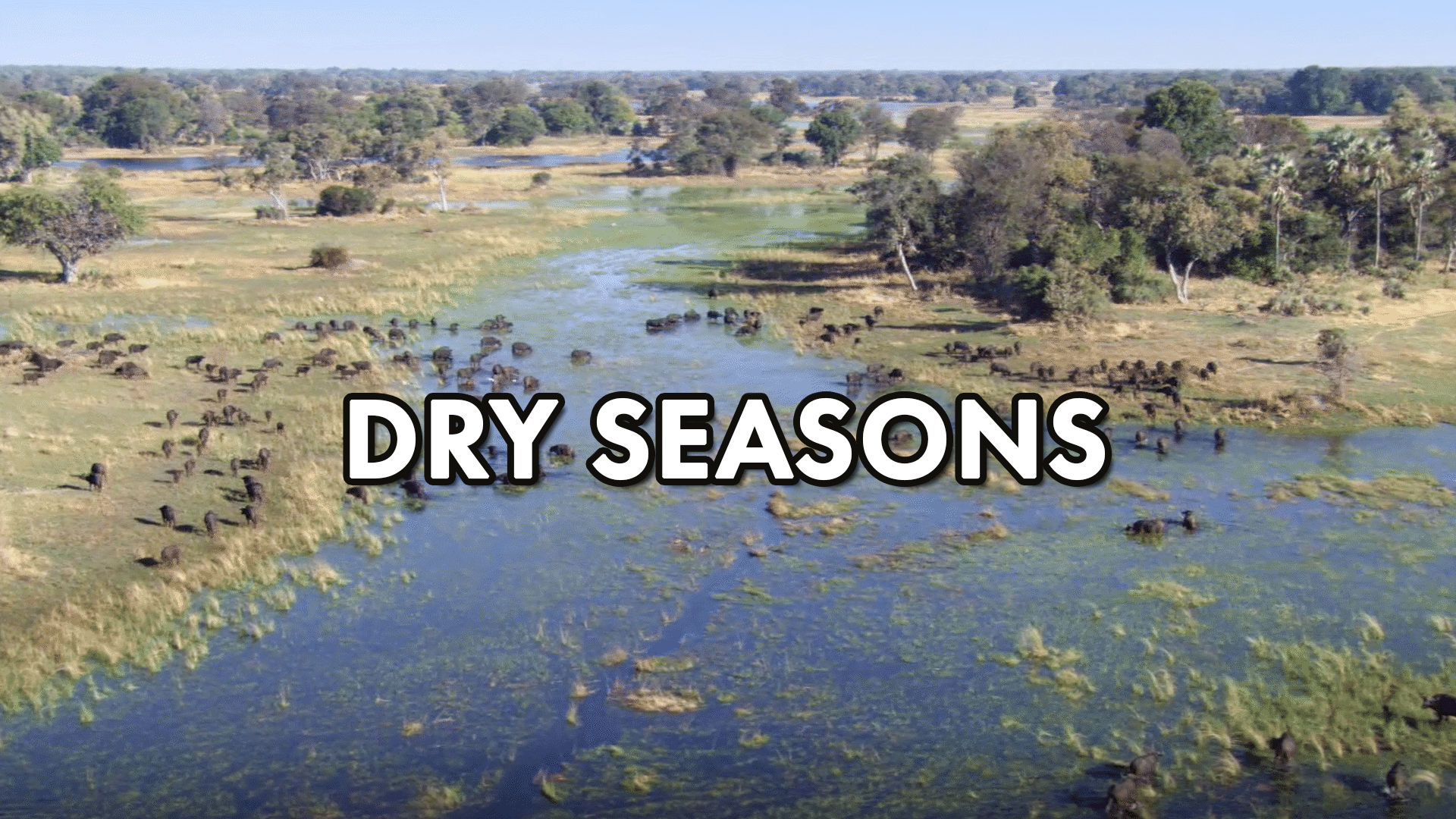 Rain During Dry Season in the Kalahari | ClickView