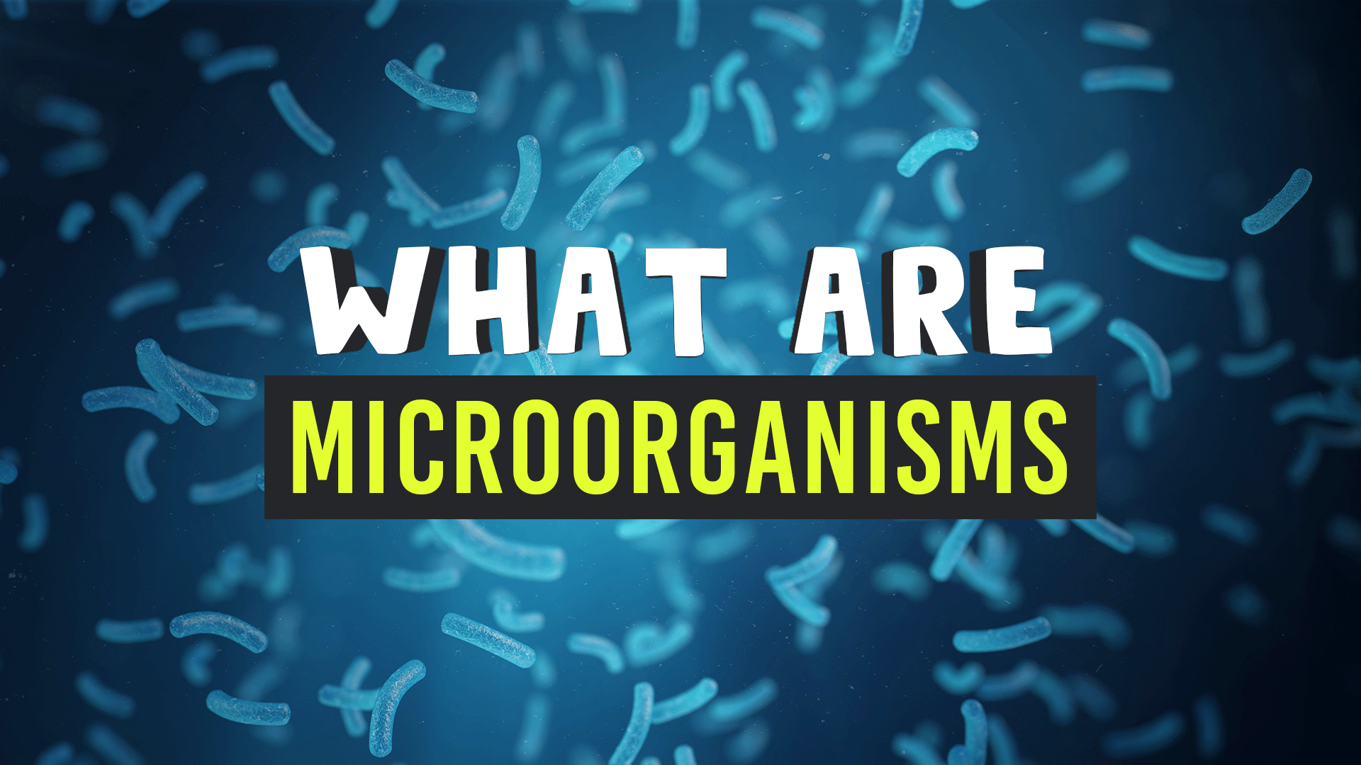 What Are Microorganisms? Video & Resources | ClickView