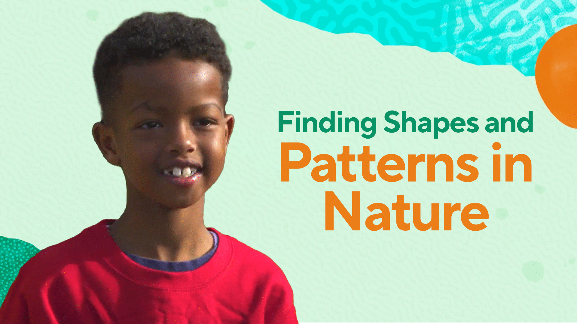 Finding Shapes and Patterns in Nature | ClickView