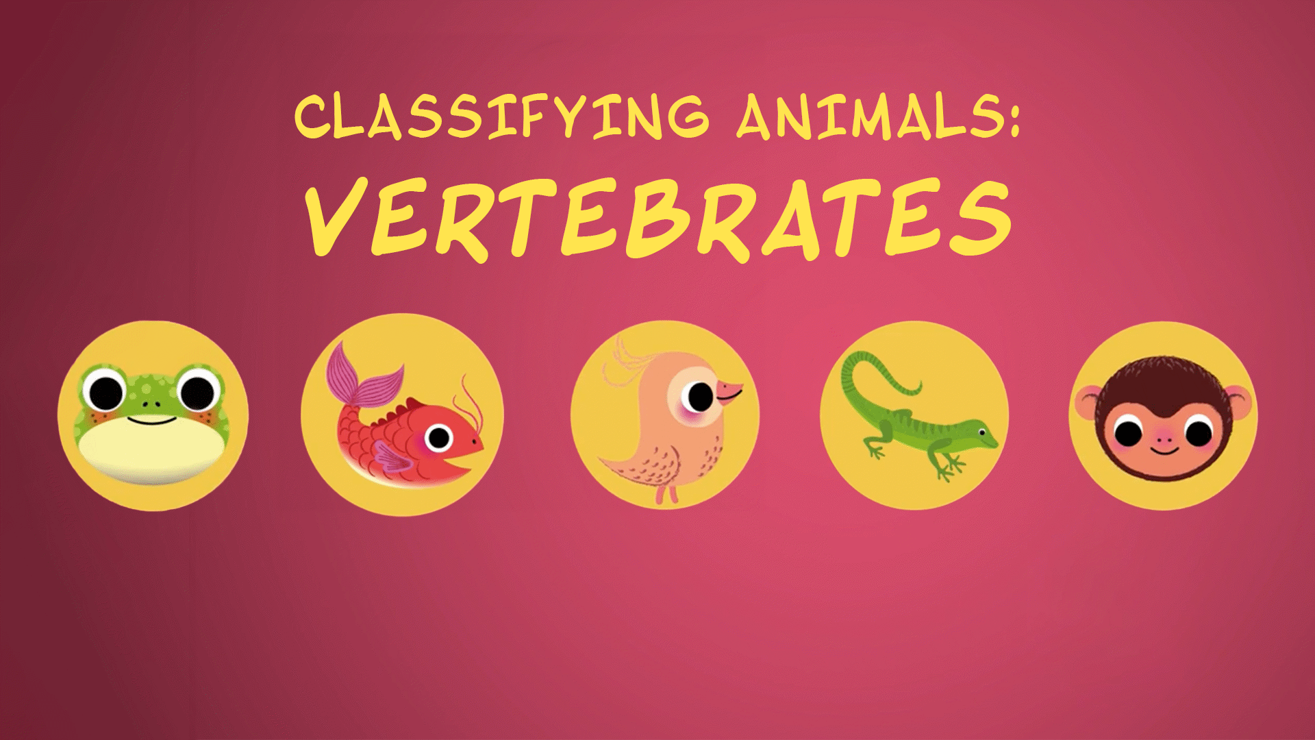 Vertebrates Videos, Resources & Worksheets | ClickView