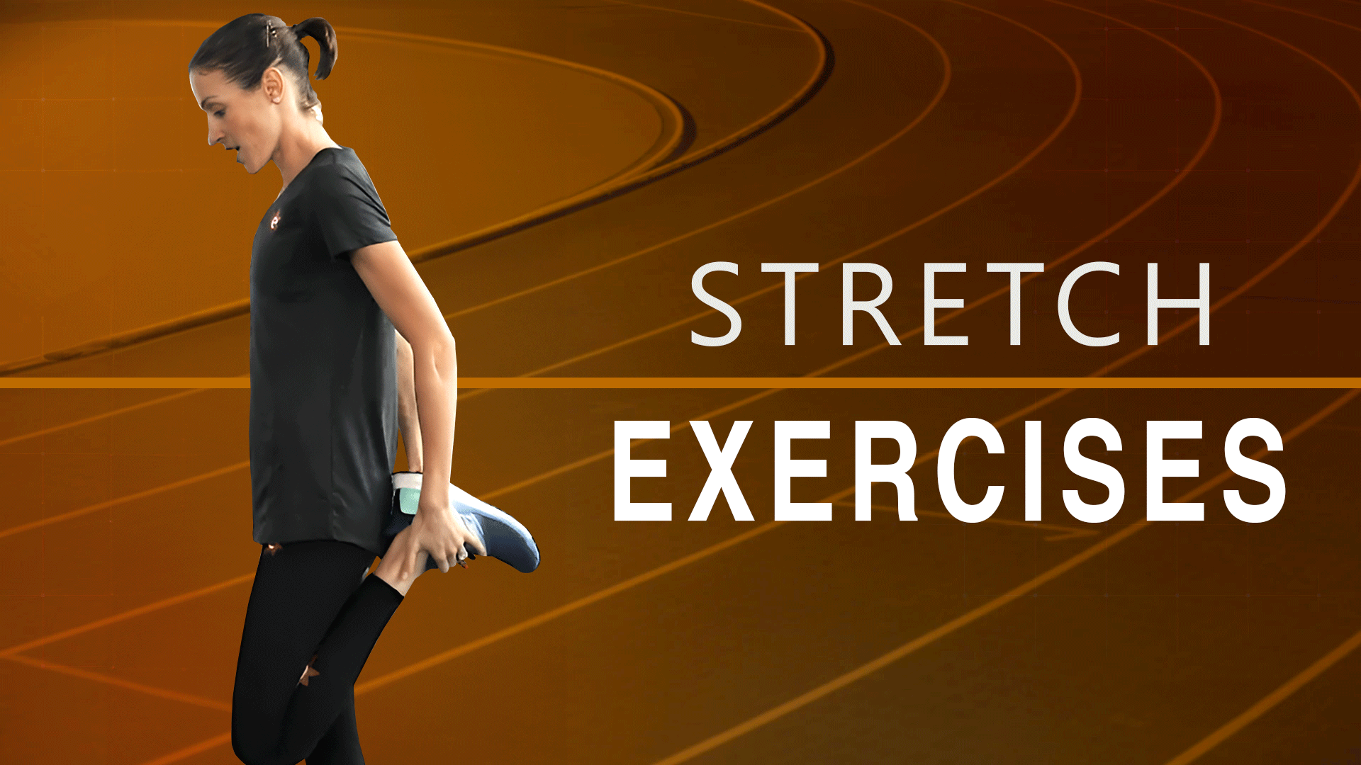 Stretch Exercises (Beginner) Video & Resources | ClickView