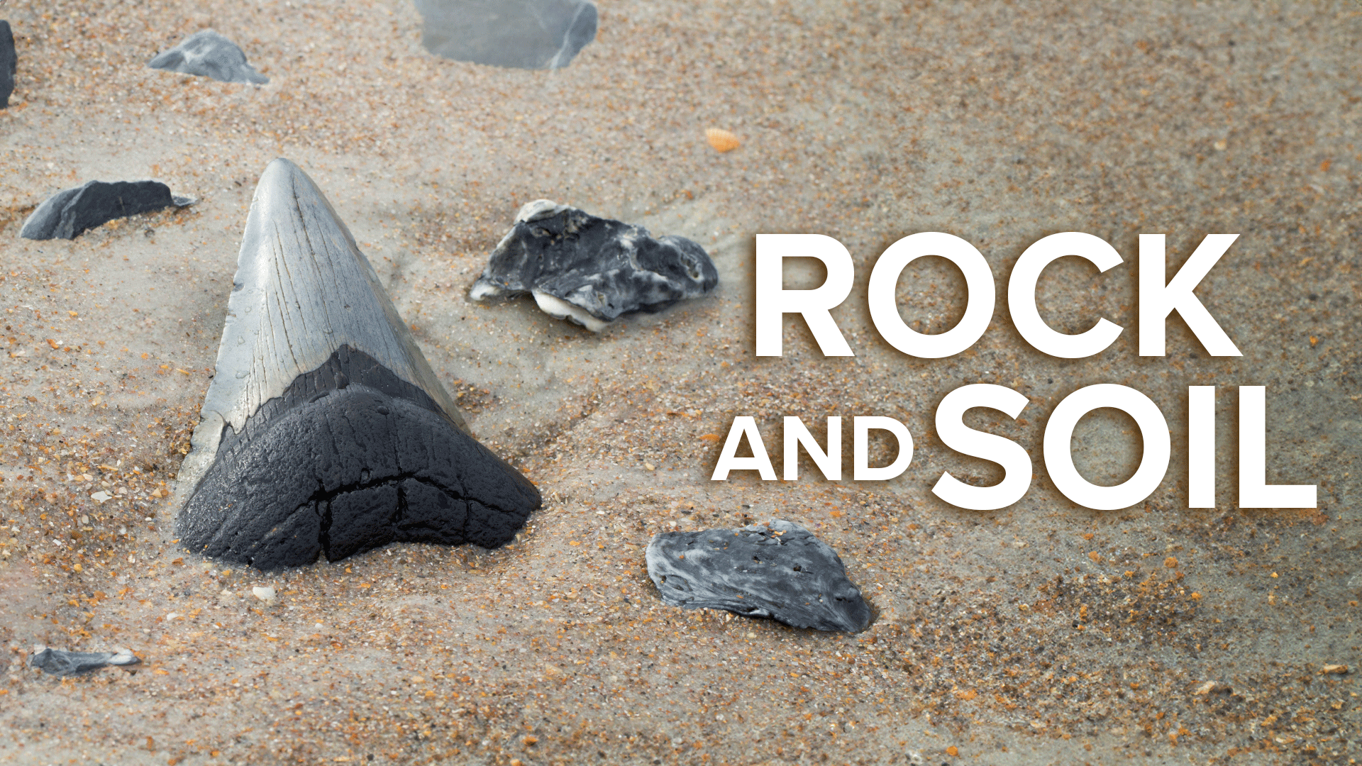 Rock and Soil: Where Rocks Came From, How Fossils Form and What Is in ...