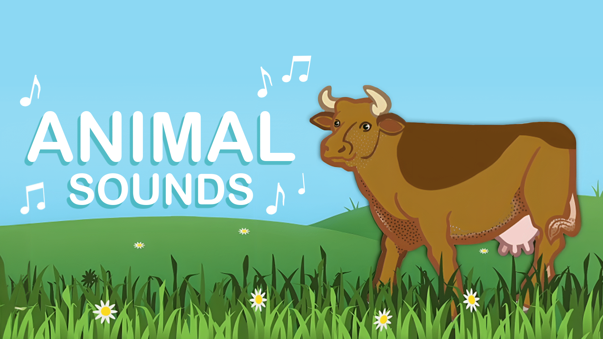 Animal Sounds Video & Resources | ClickView