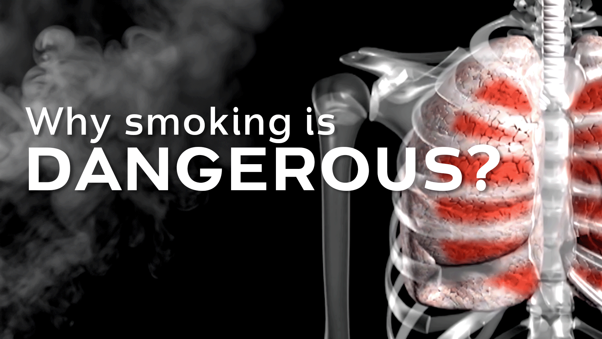 Dangers of Smoking Video & Resources | ClickView