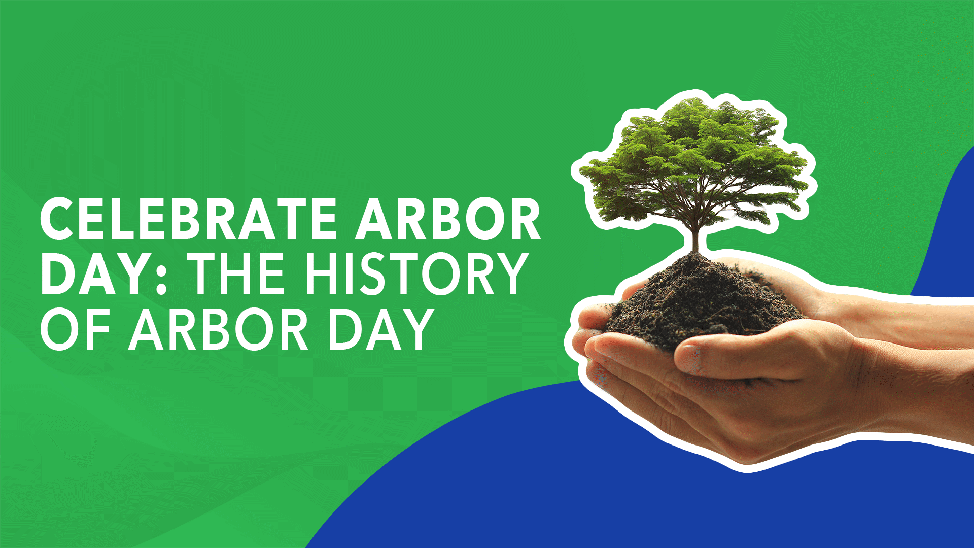 Arbor Day Foundation Video Field Trips | Streamable Learning