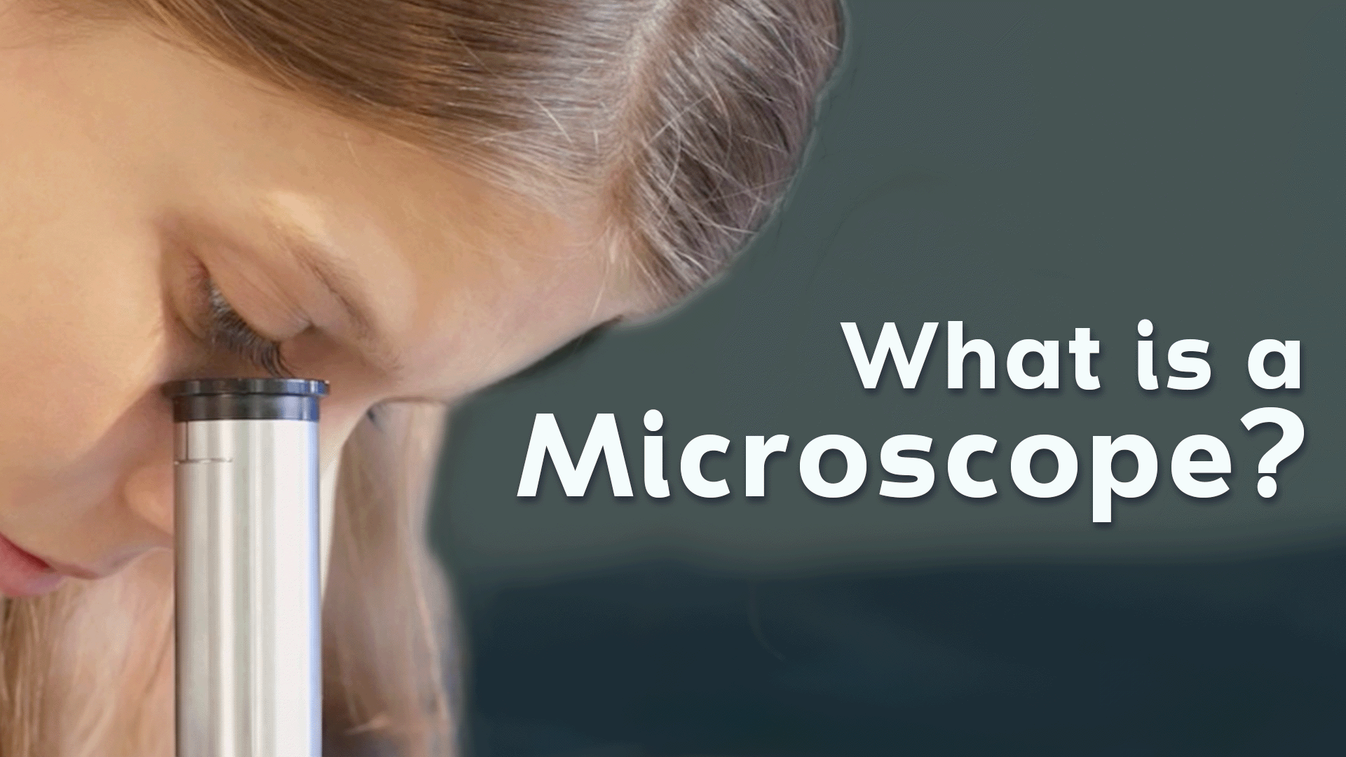 Microscopes Video & Resources | ClickView