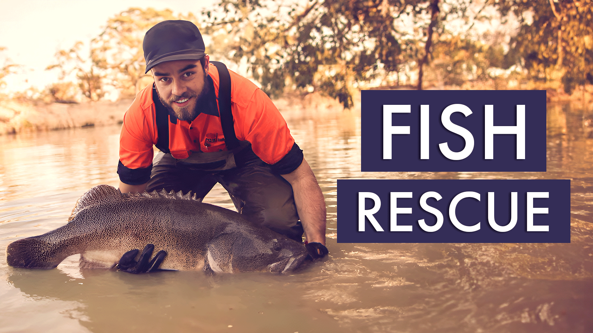 Fish Rescue - 17/09/2019 - A mass fish rescue... - ClickView