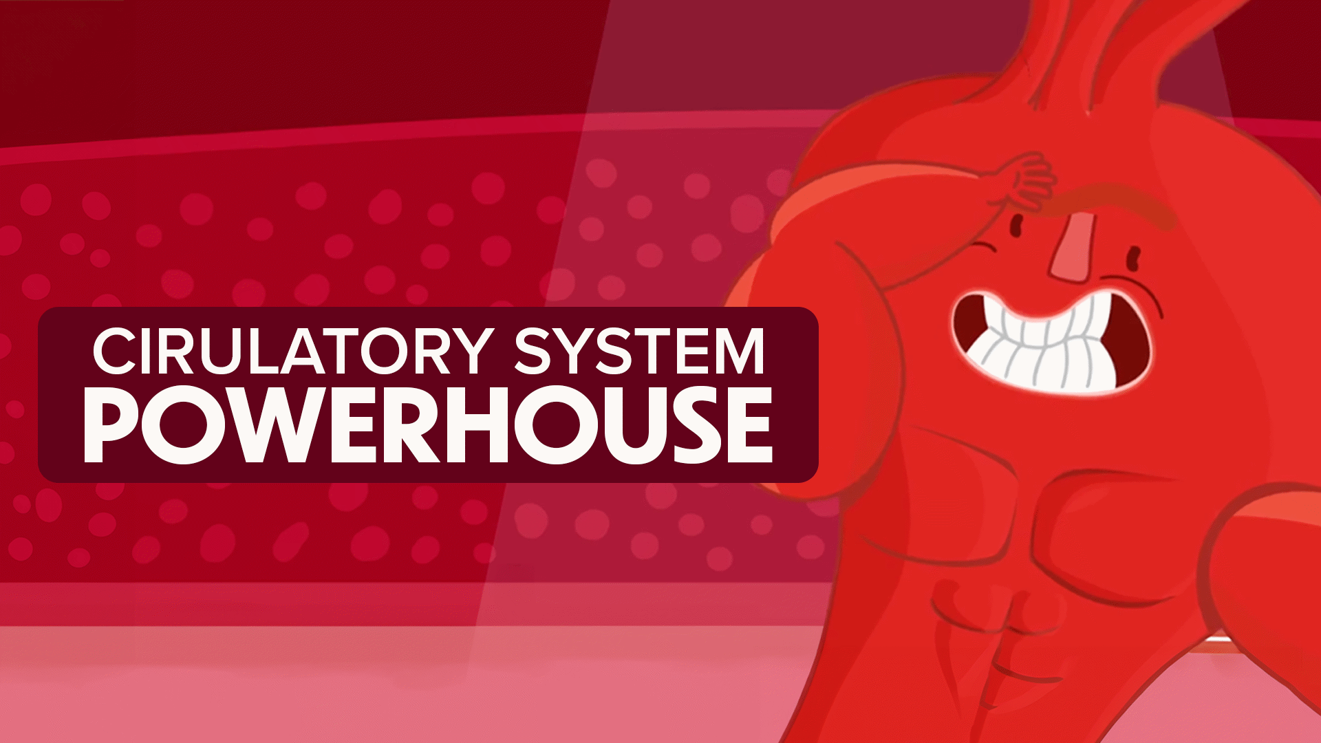 How Does Your Heart Work? Video & Resources | ClickView