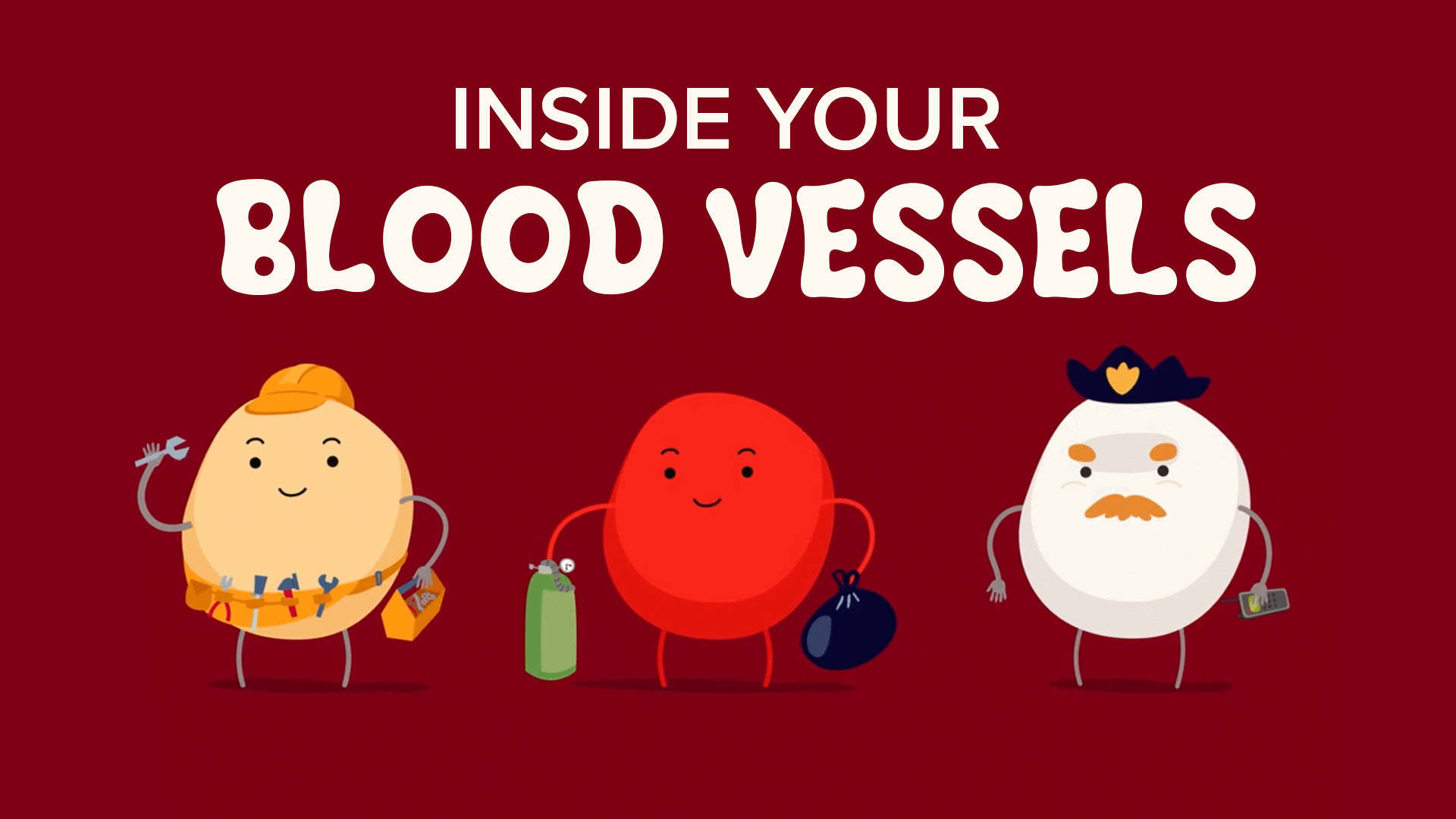 Circulatory System Videos, Resources & Worksheets | ClickView