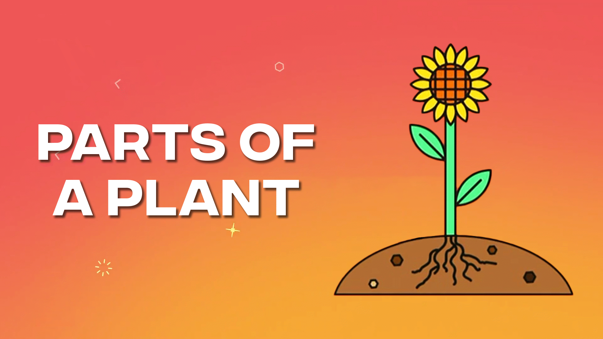 Classification Videos, Resources & Worksheets | ClickView