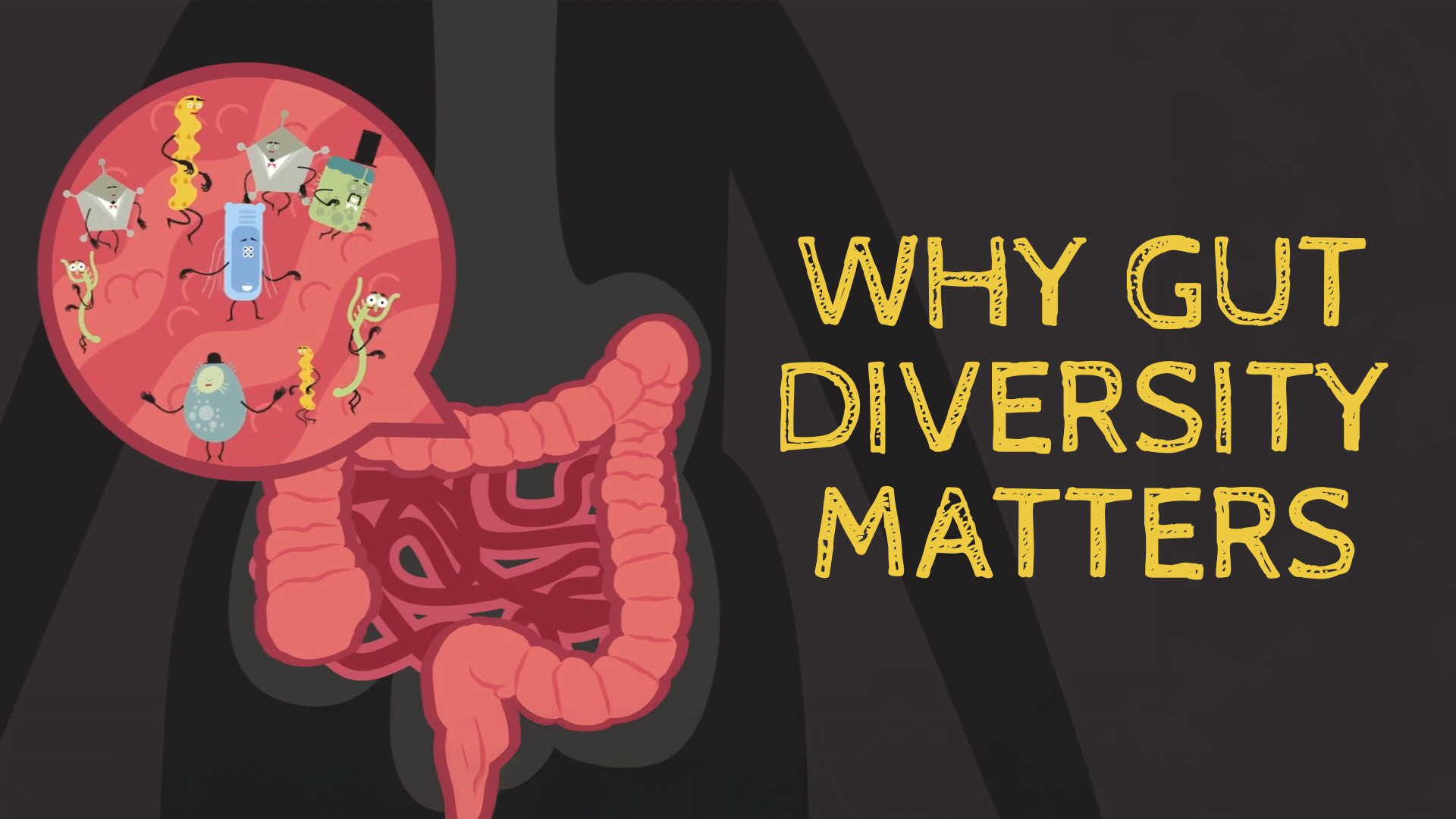 High School Videos, Resources & Worksheets | ClickView