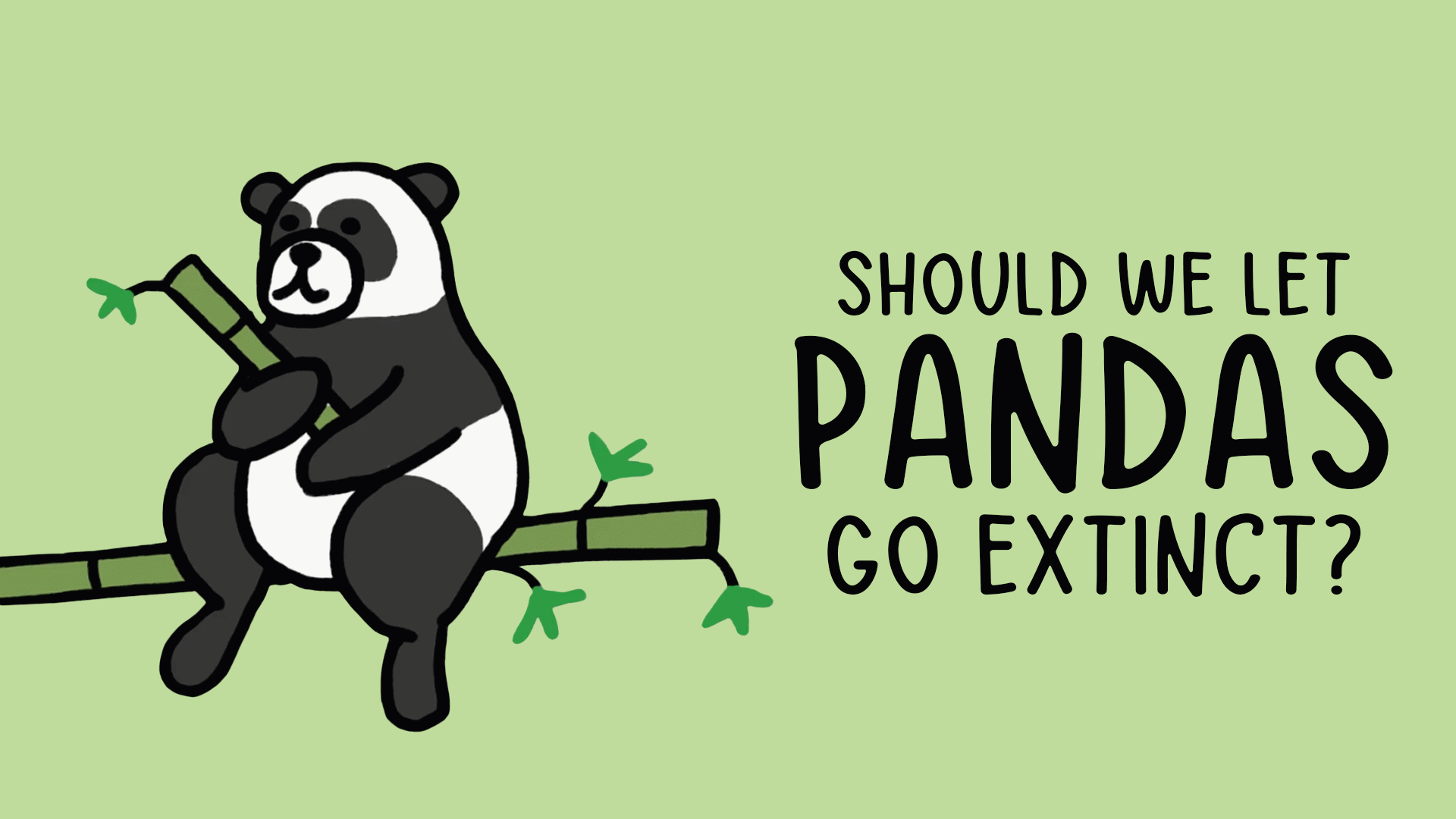Should We Let Pandas Go Extinct? | ClickView