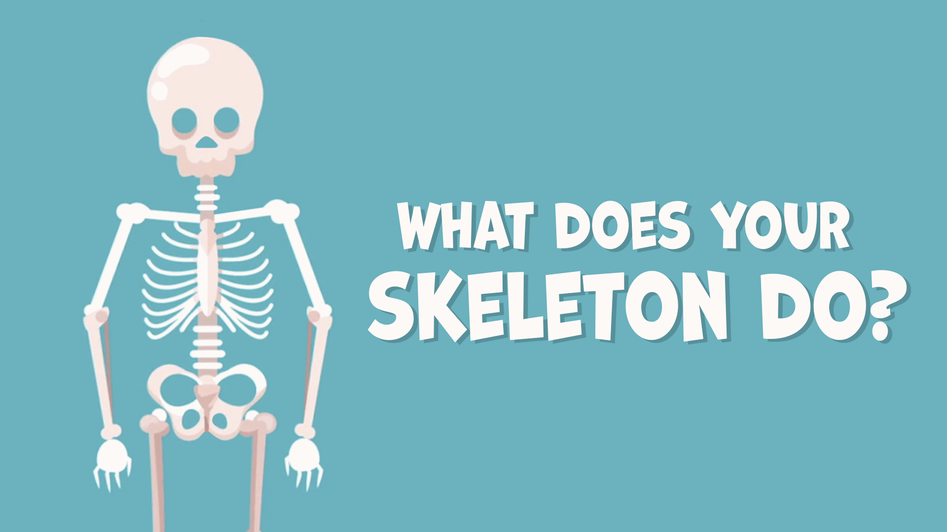 What Does Your Skeleton Do? Video & Resources | ClickView
