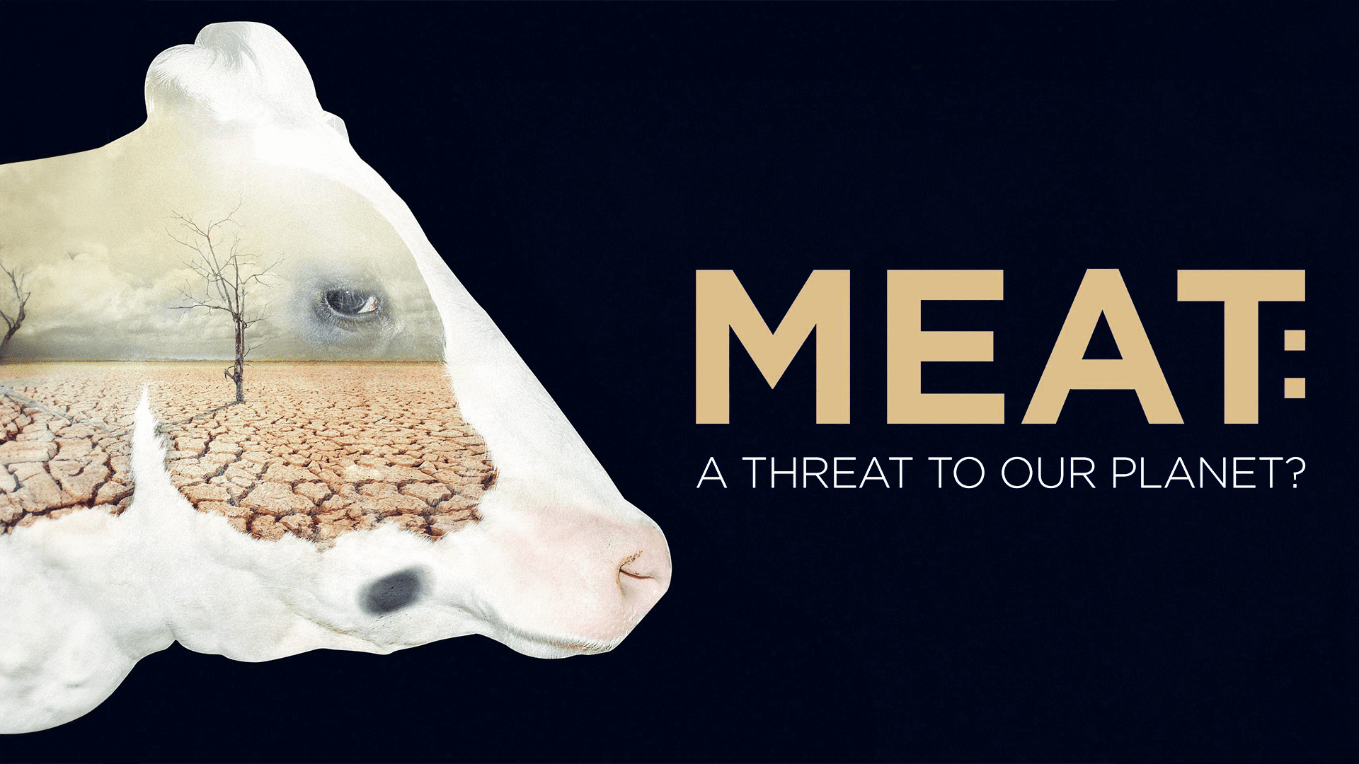 Meat: A Threat to Our Planet? Video & Resources | ClickView