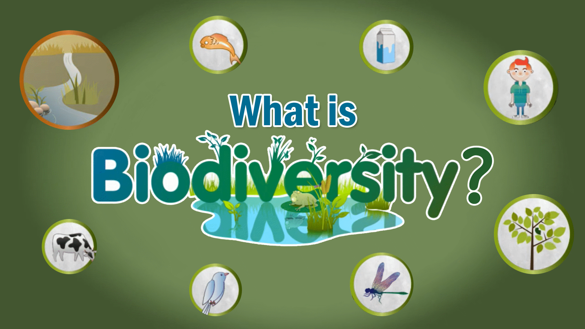 Water and Biodiversity Video & Resources | ClickView