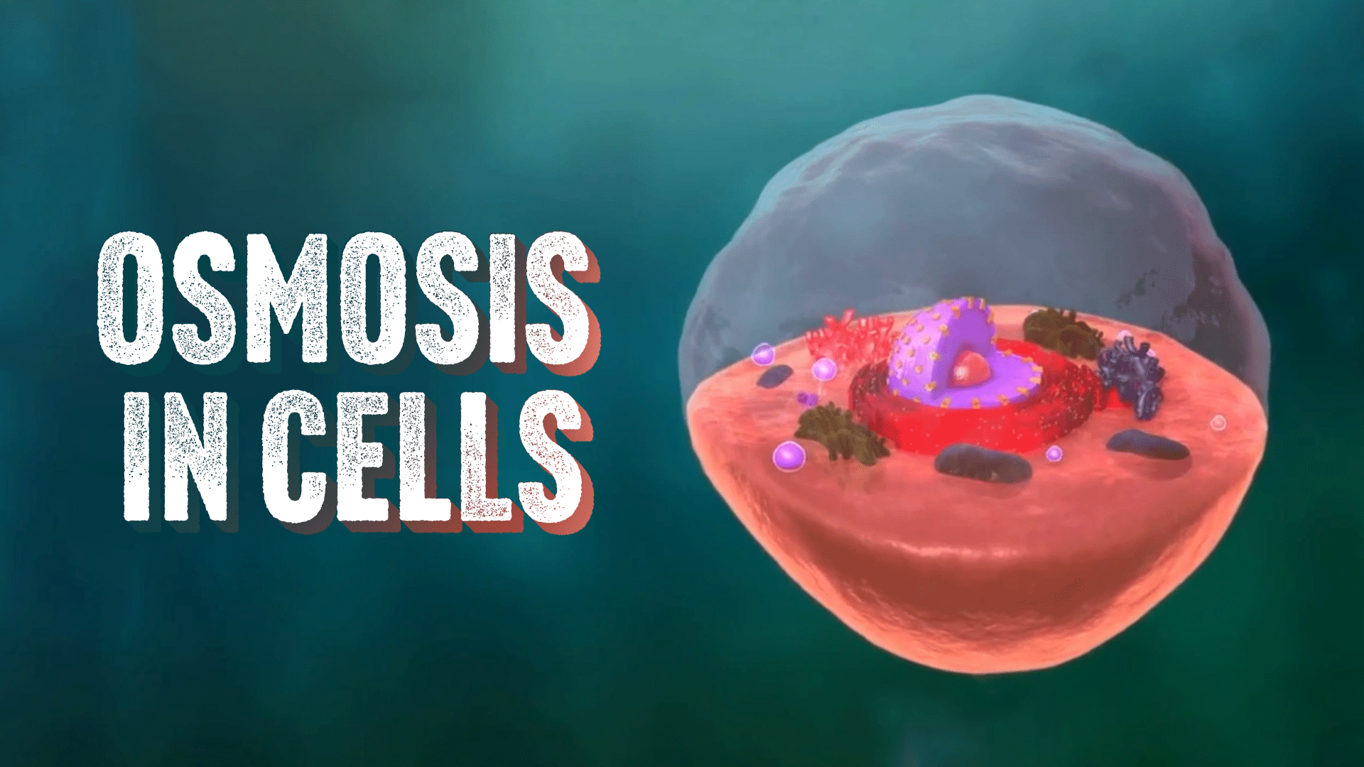 Discover New Secondary Videos & Resources | ClickView