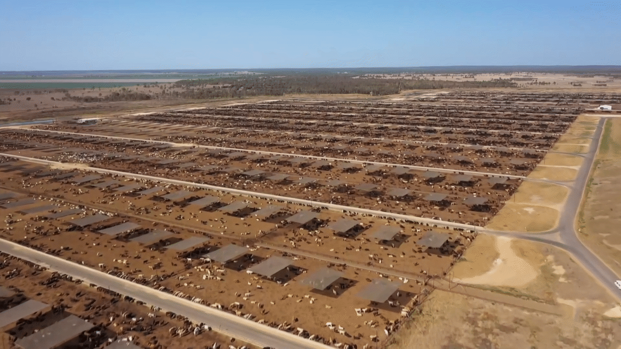 Poo Power - Australia's farmers rely on mostl... - ClickView