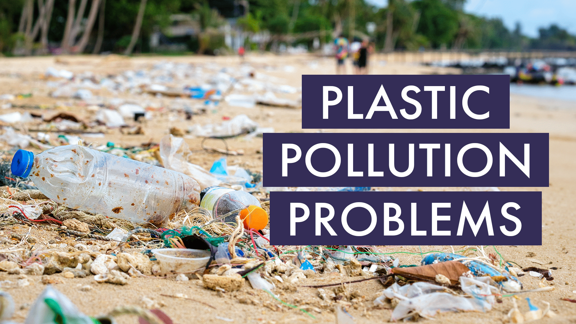 Plastic Pollution Problems Video & Resources | ClickView