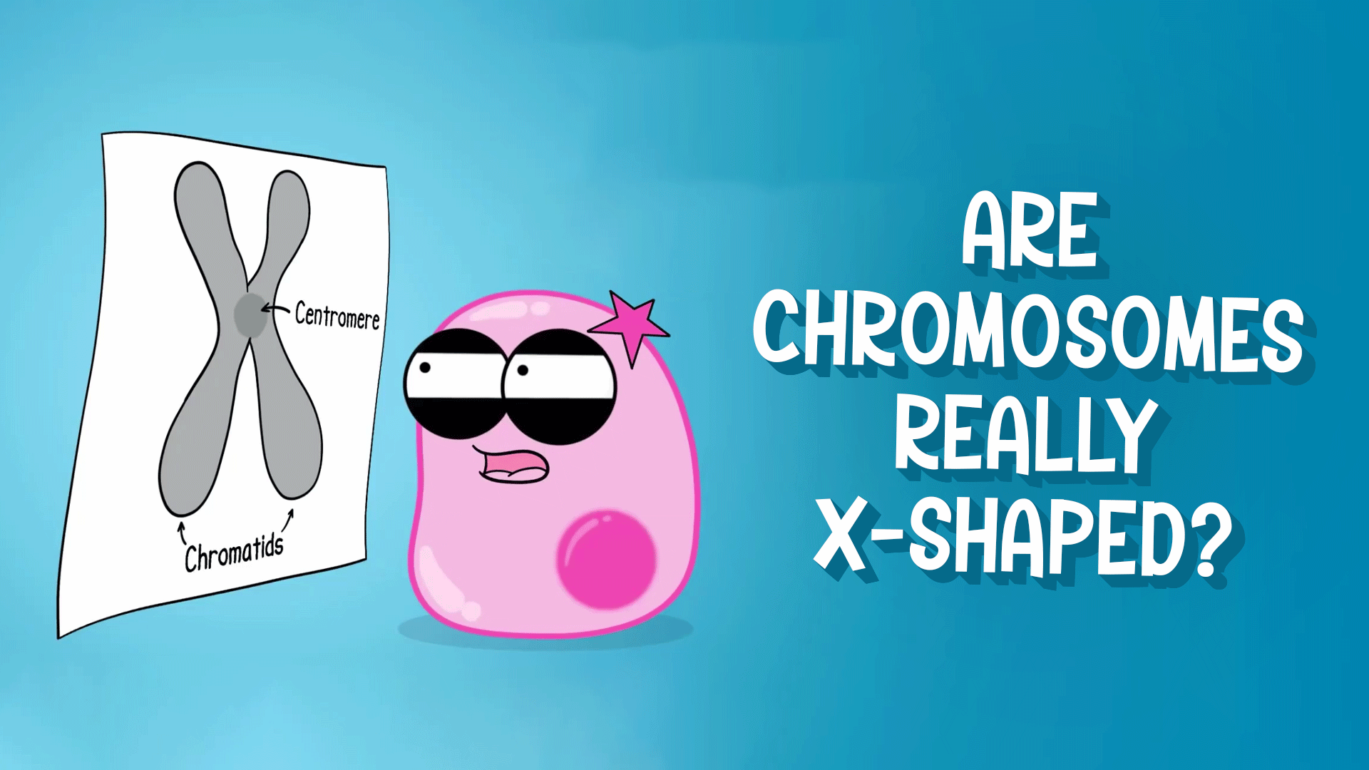 New from Amoeba Sisters Videos, Quizzes & Clips | ClickView