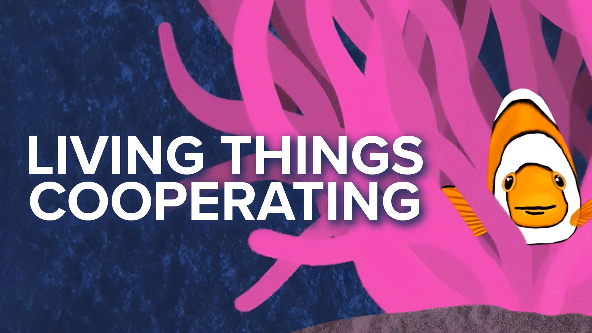 How Living Things Work Together Video & Resources | ClickView