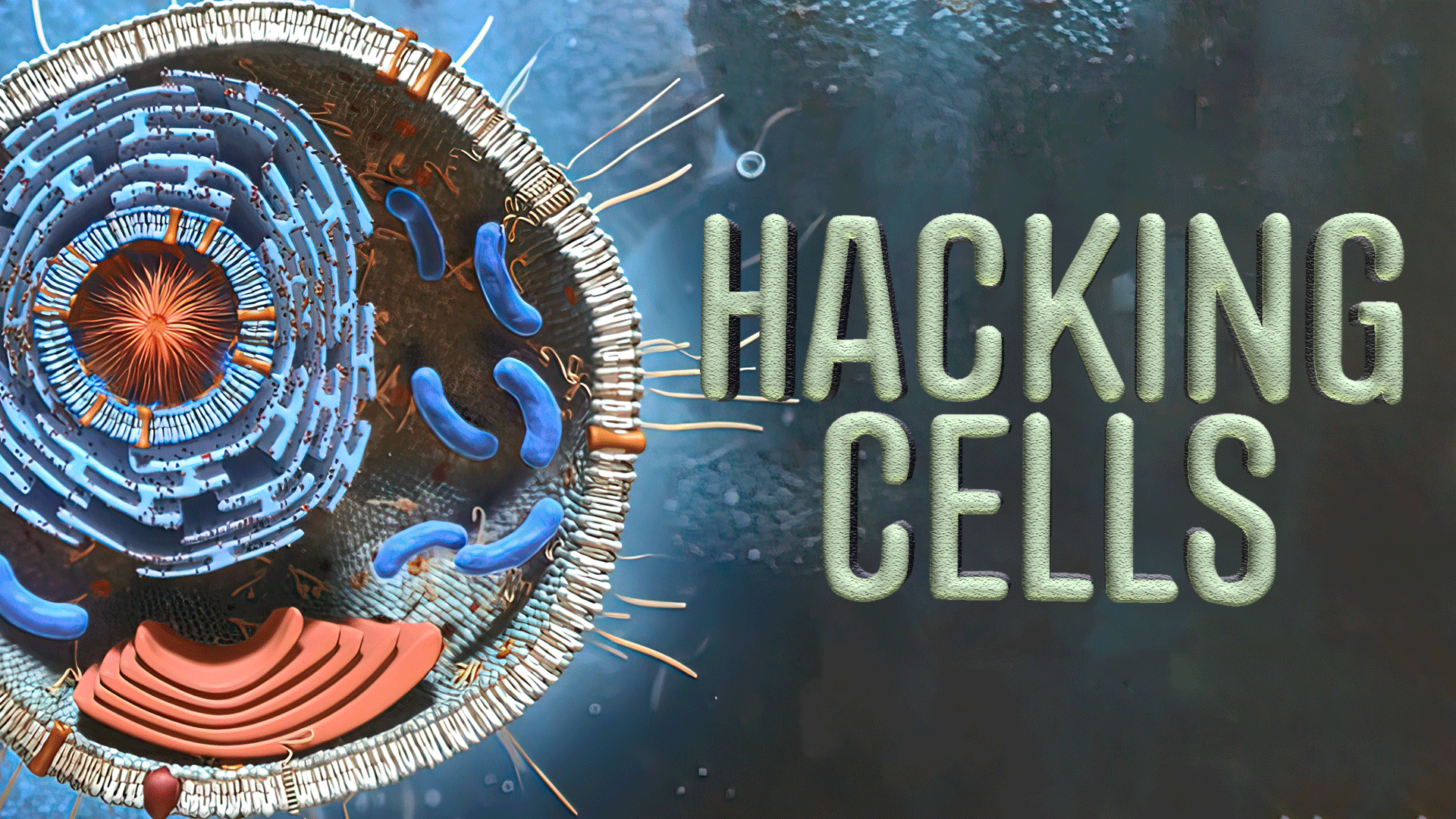 Types of Cells - ClickView