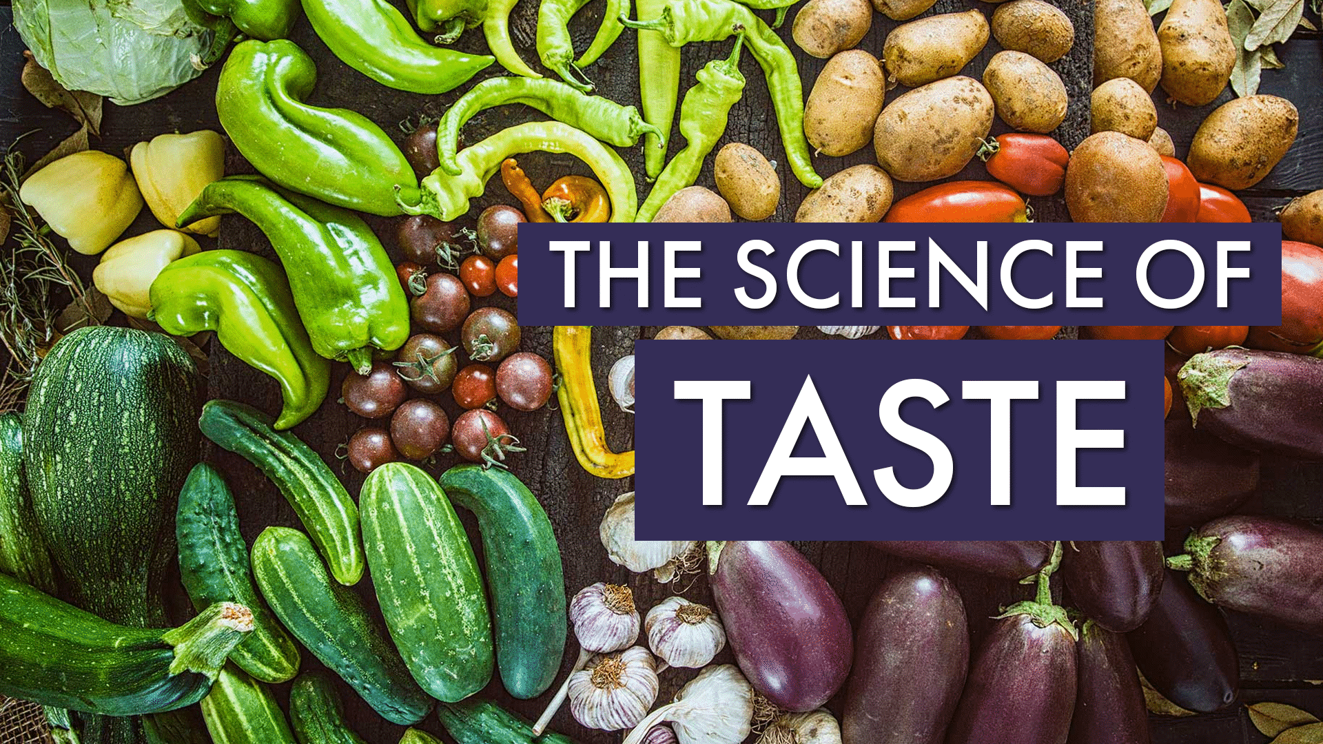 Science of Taste Video & Resources | ClickView