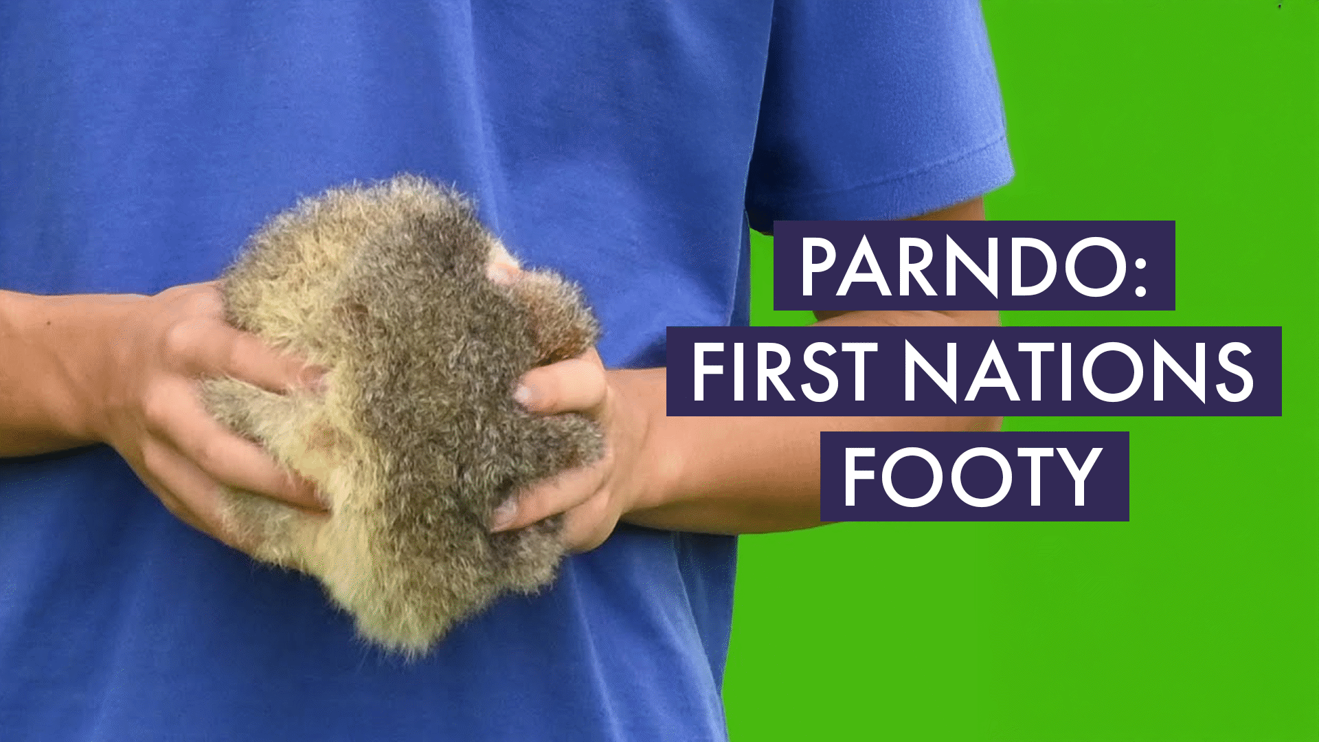 Parndo Game Video & Resources | ClickView